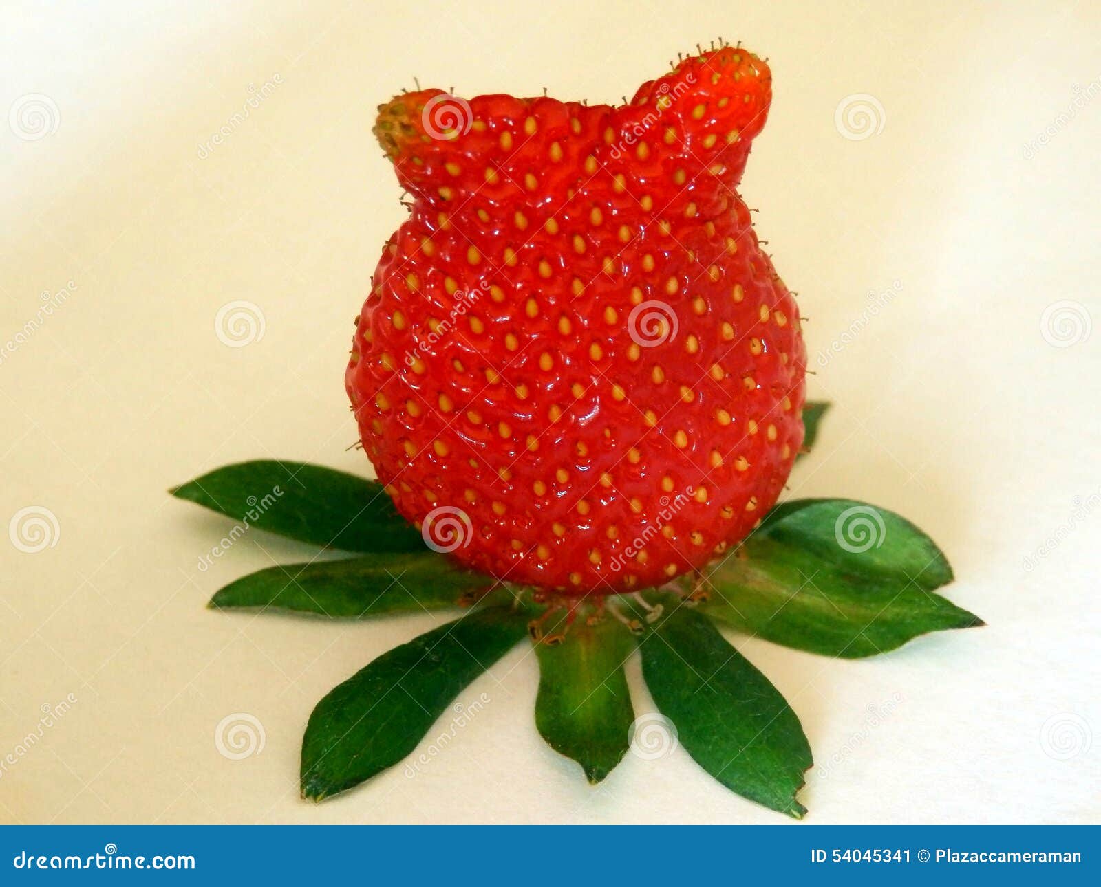 Strawberry with ears stock image. Image of like, berry - 54045341