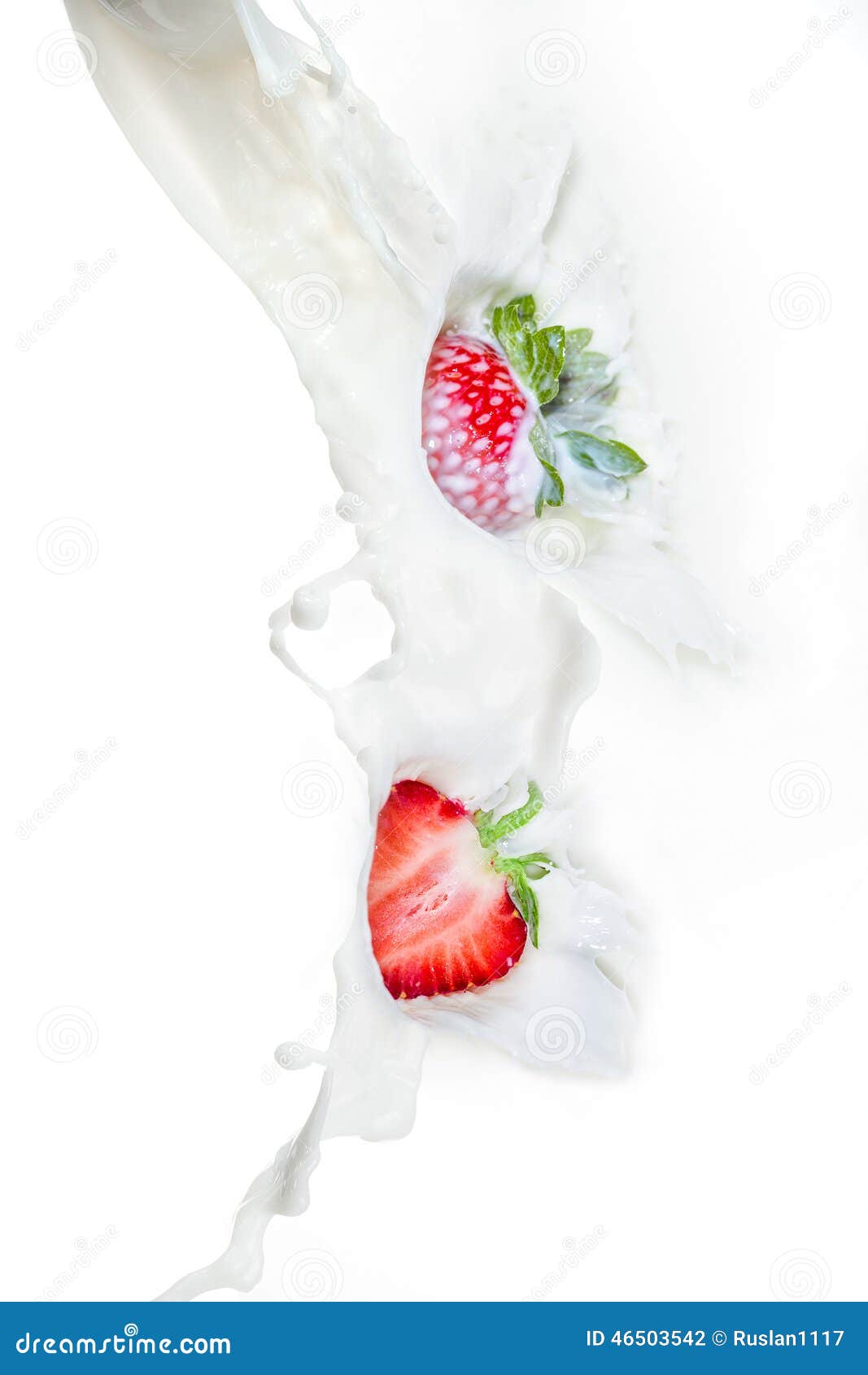 Strawberry Falling into Milk Splashing. Close Up View, on White ...