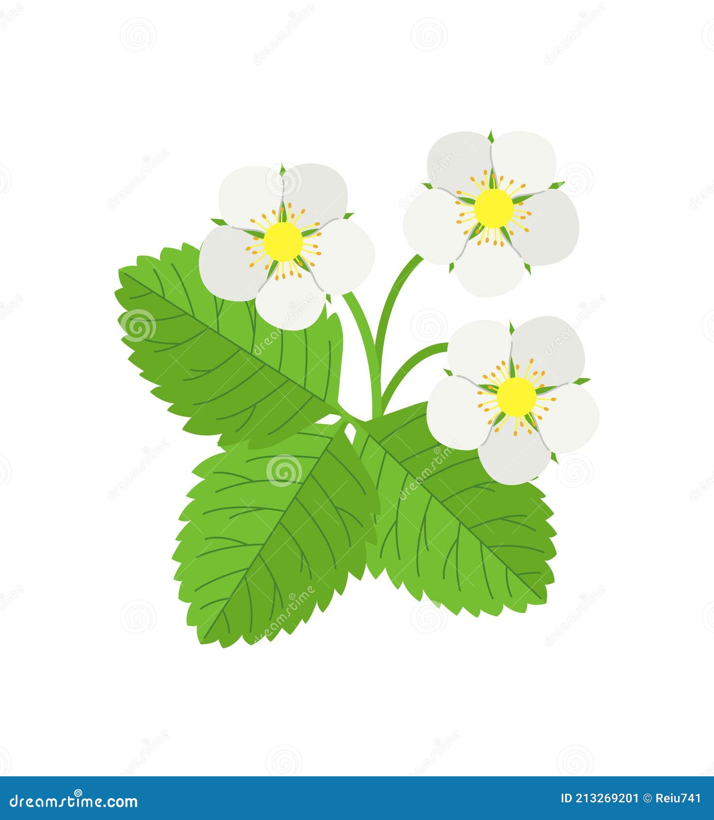 Strawberry flower plant stock vector. Illustration of agriculture ...