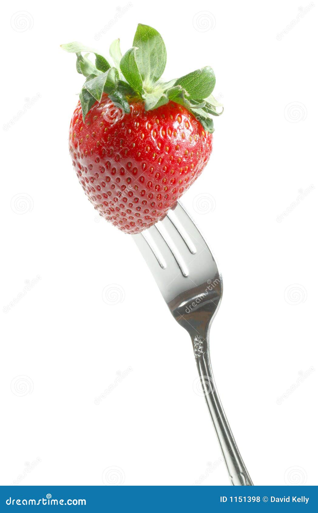Strawberry Fork