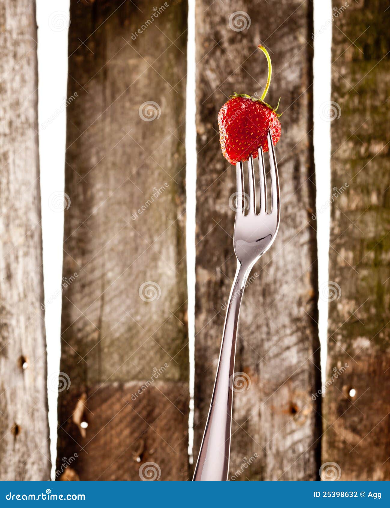 Strawberry on fork stock photo. Image of snack, green - 25398632