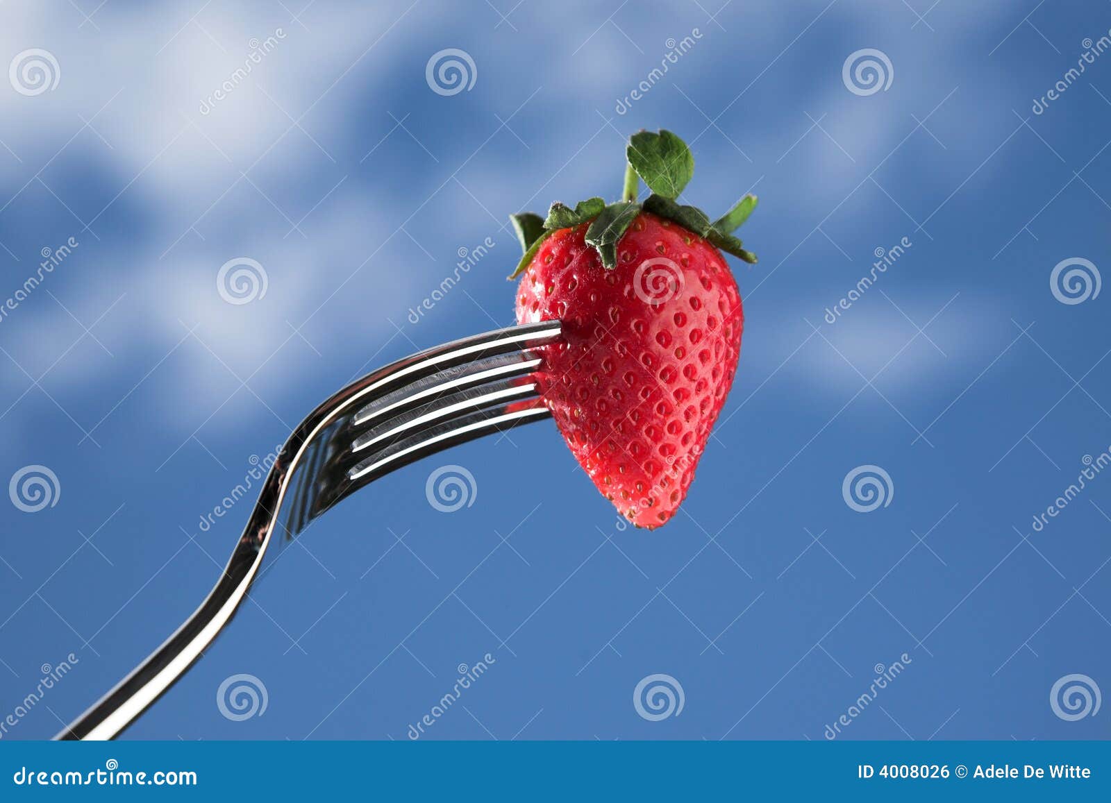 Strawberry on fork stock photo. Image of food, fruit, ripe - 4008026