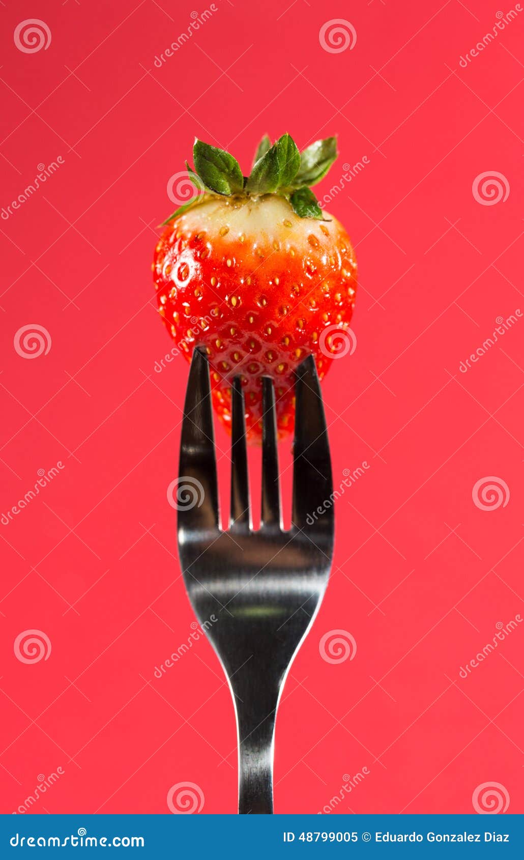 Strawberry fork stock image. Image of sweet, ripe, dessert - 48799005