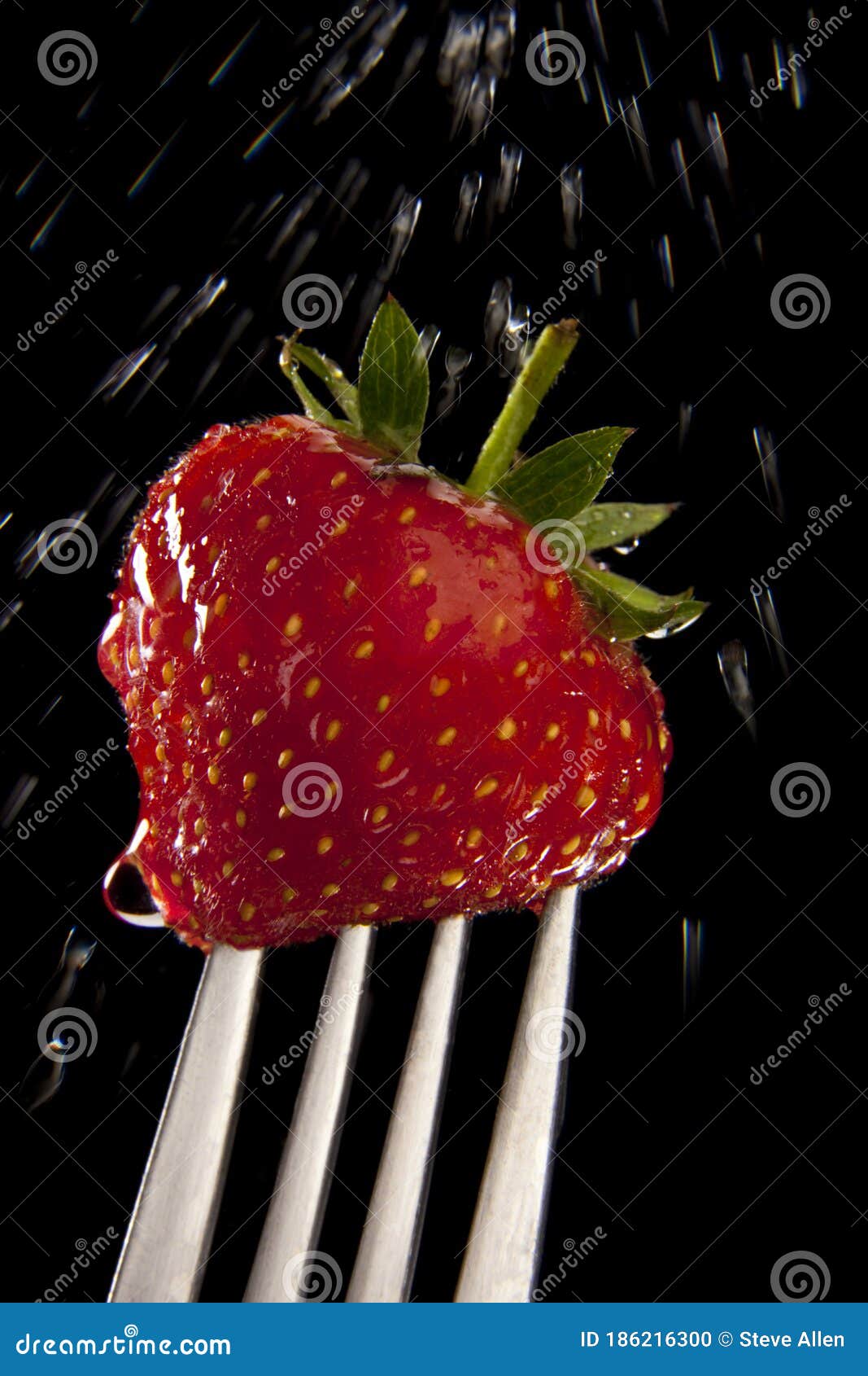 Strawberry on a fork stock photo. Image of fork, juicey - 186216300