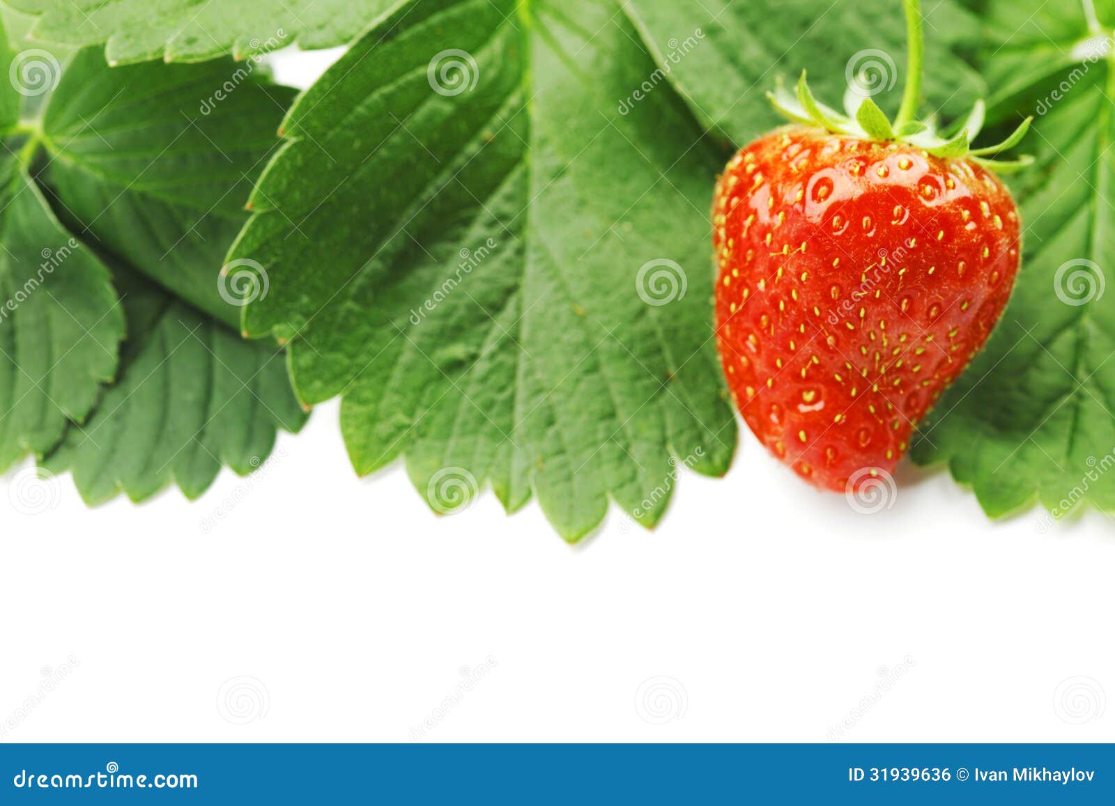 Strawberry frame stock photo. Image of beautiful, frame - 31939636