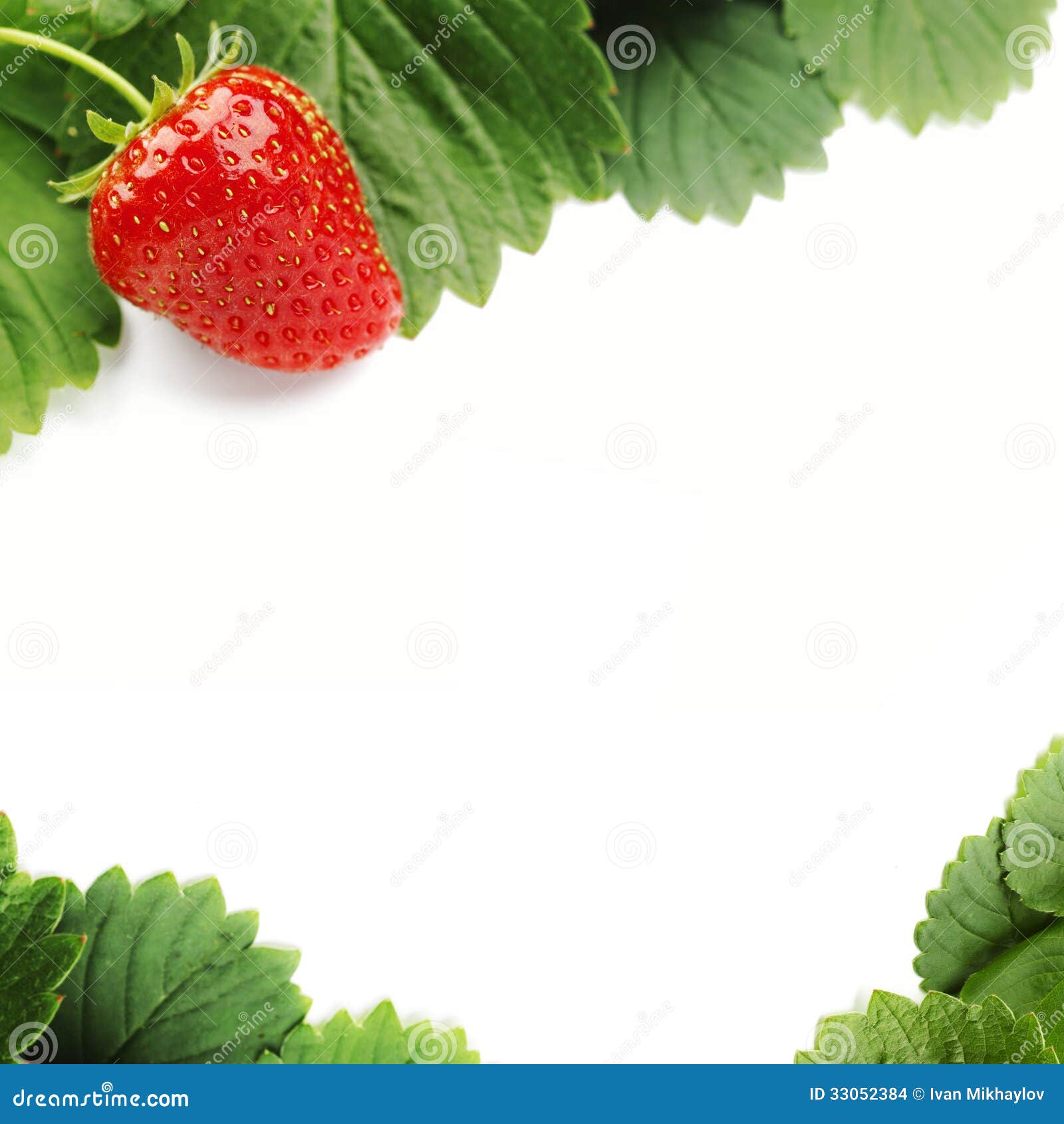 Strawberry frame stock photo. Image of border, strawberry - 33052384