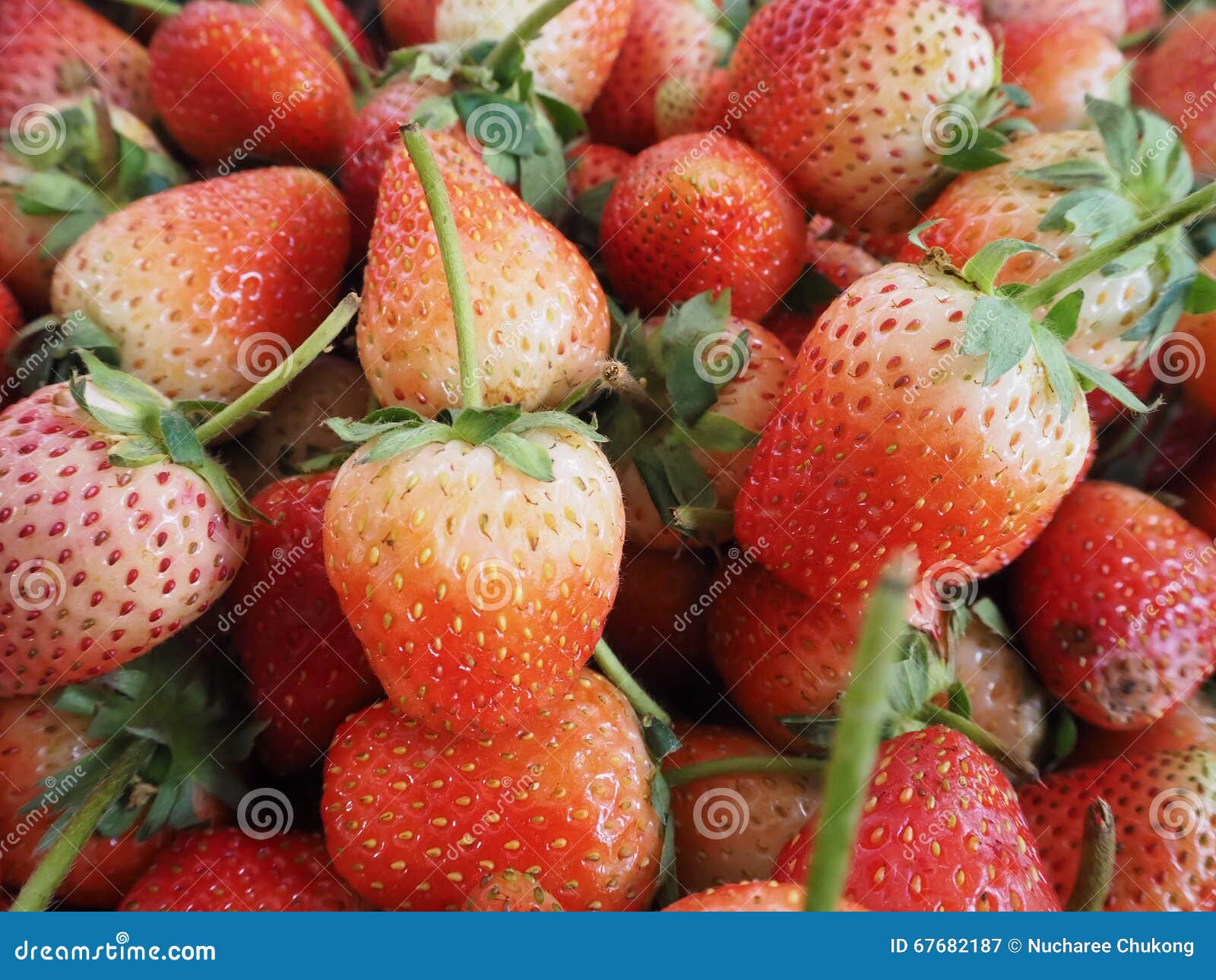 Strawberry stock image. Image of macro, antioxidant, sweet - 67682187