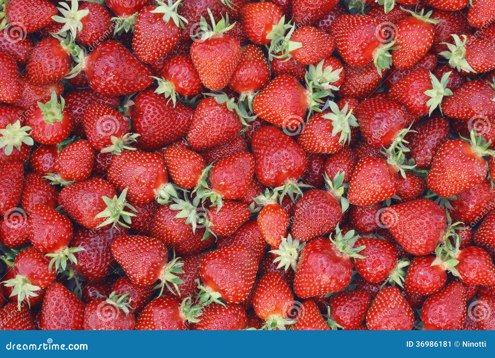 Strawberry stock image. Image of berry, juicy, pattern - 36986181
