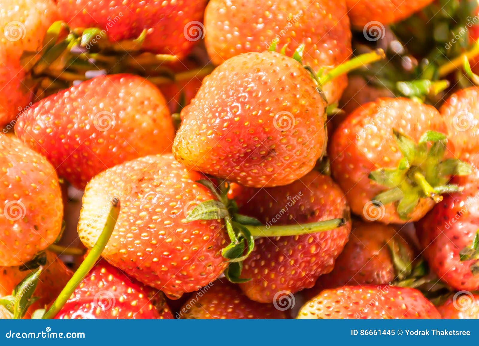Strawberry Fresh Fruit, Zoom Macroshot Stock Image - Image of bountiful ...