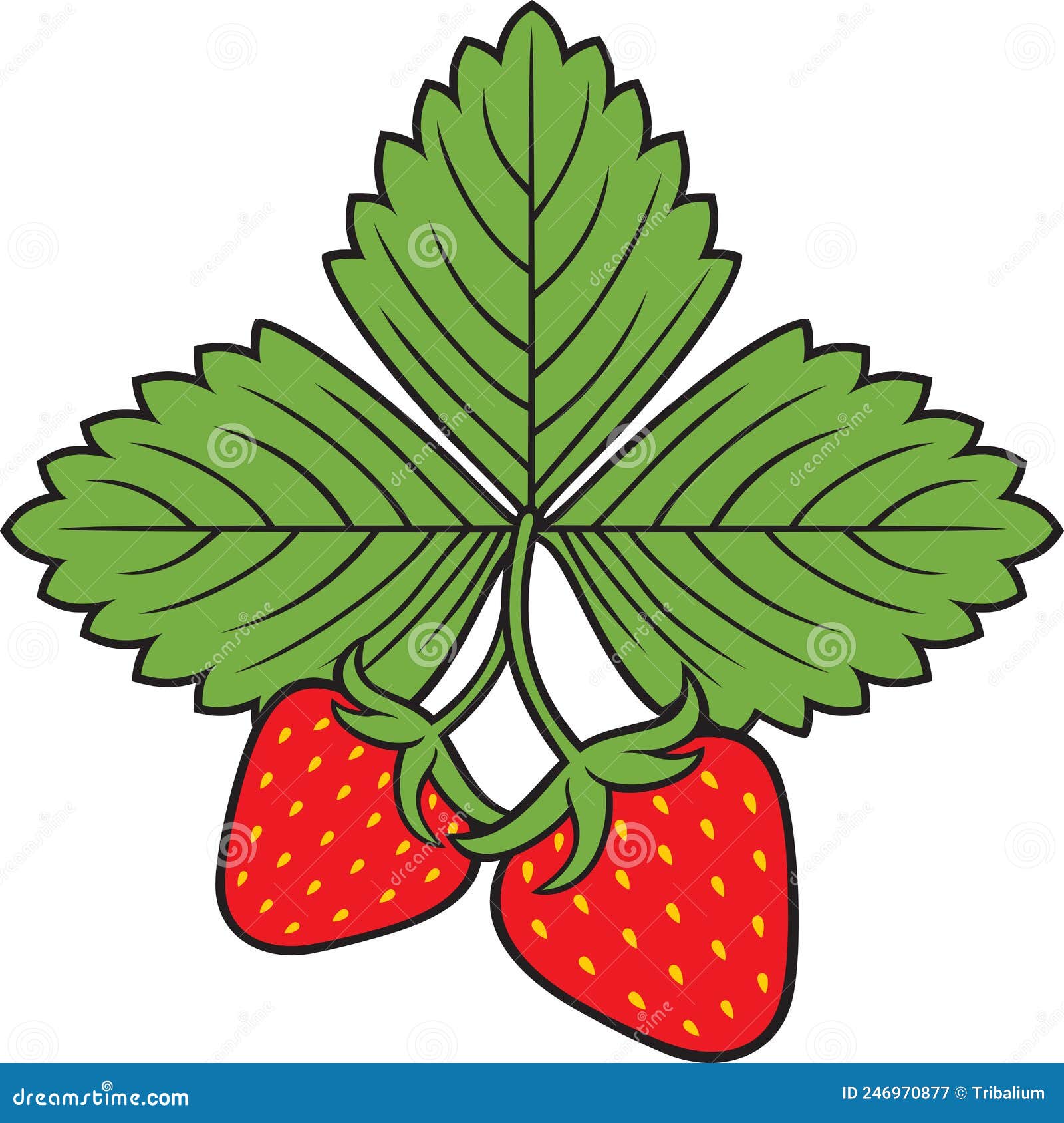Strawberry Fruit with Leaf Color Stock Illustration - Illustration of ...
