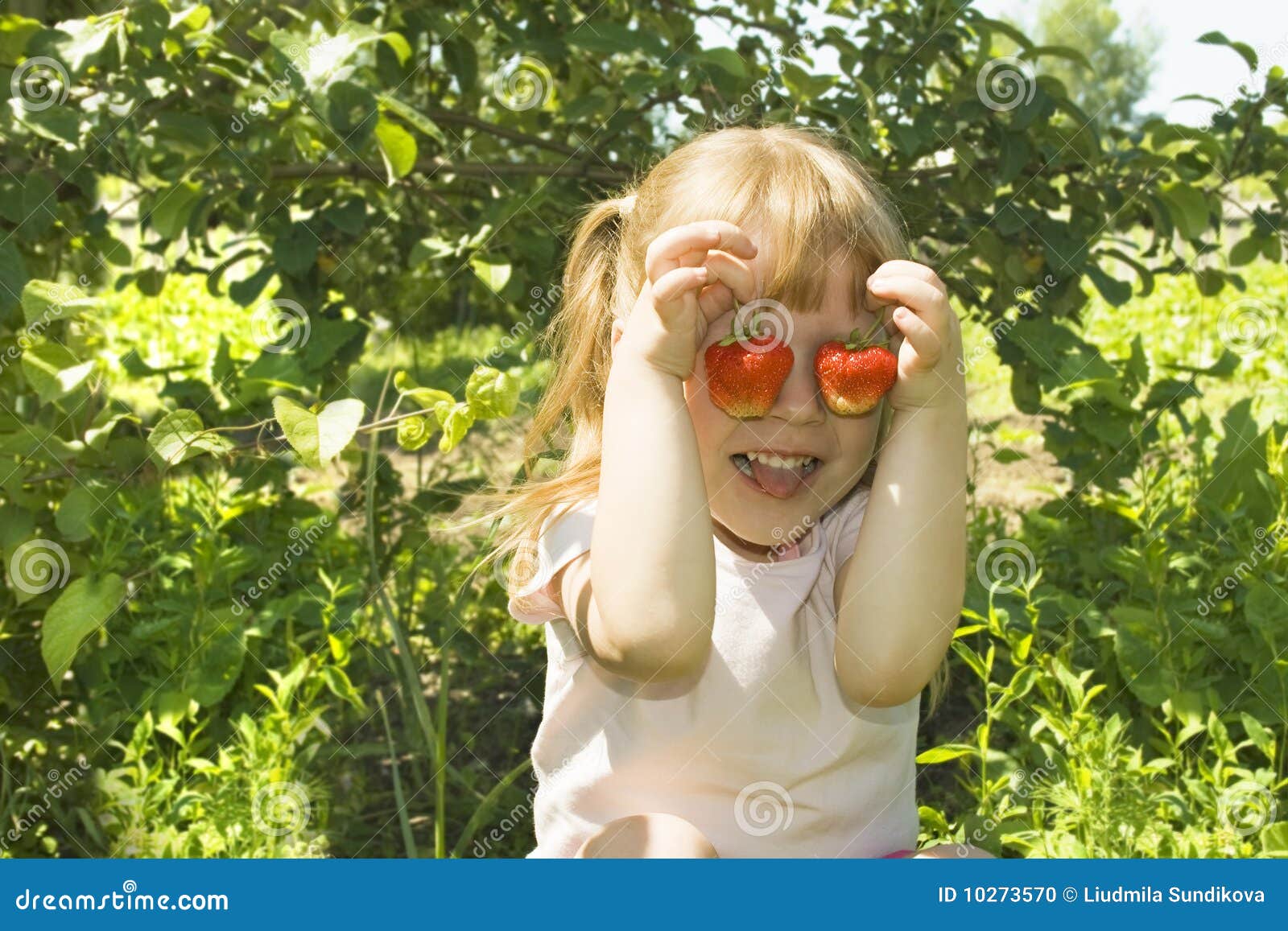 Strawberry Fun stock photo. Image of berry, crop, organic - 10273570