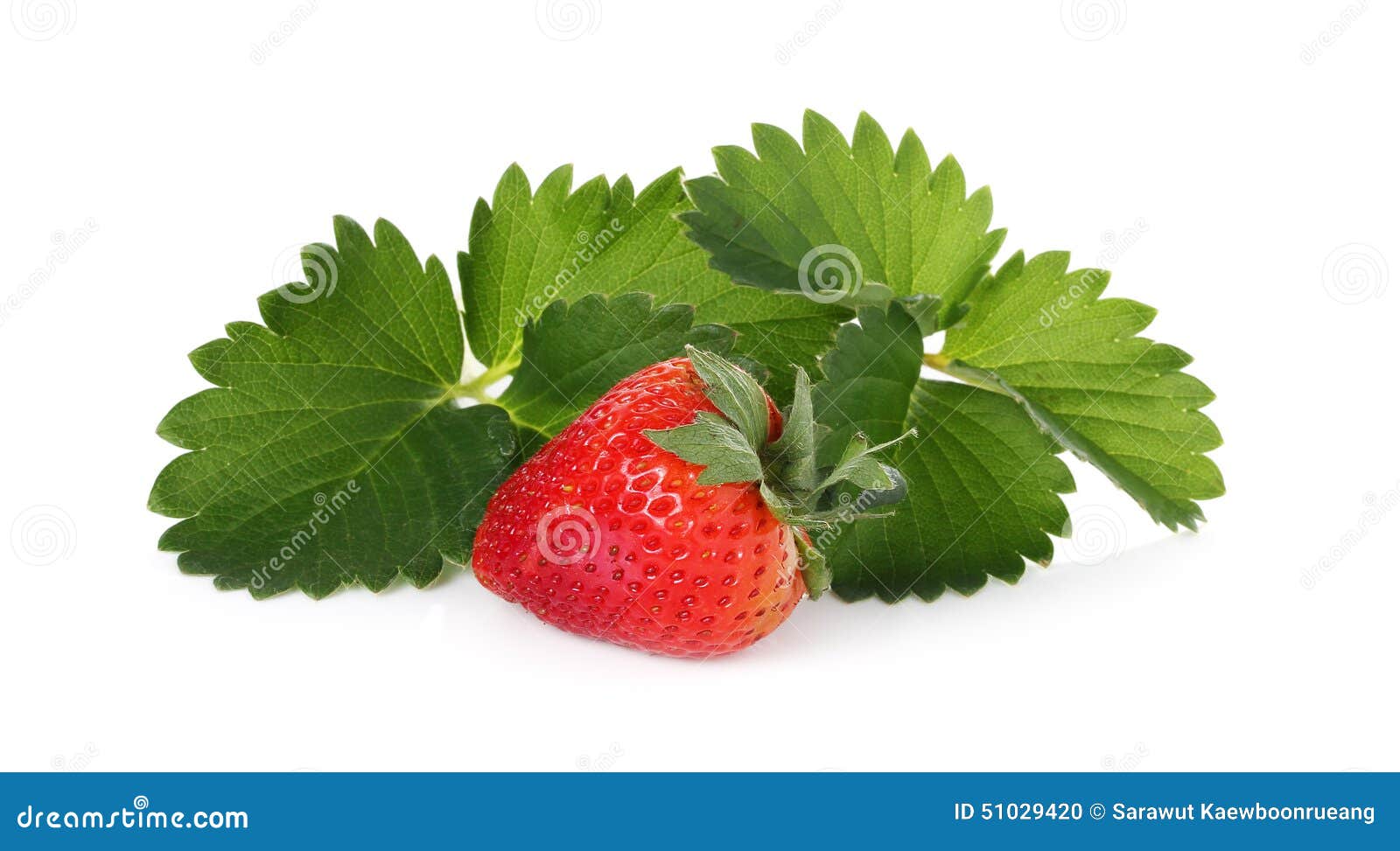 Strawberry with Green Leaf Isolated on White Stock Photo - Image of ...