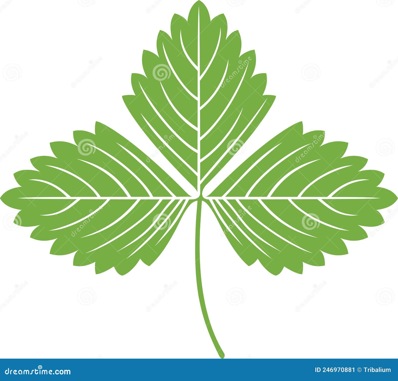 Strawberry Green Leaf Vector Stock Illustration - Illustration of icon ...