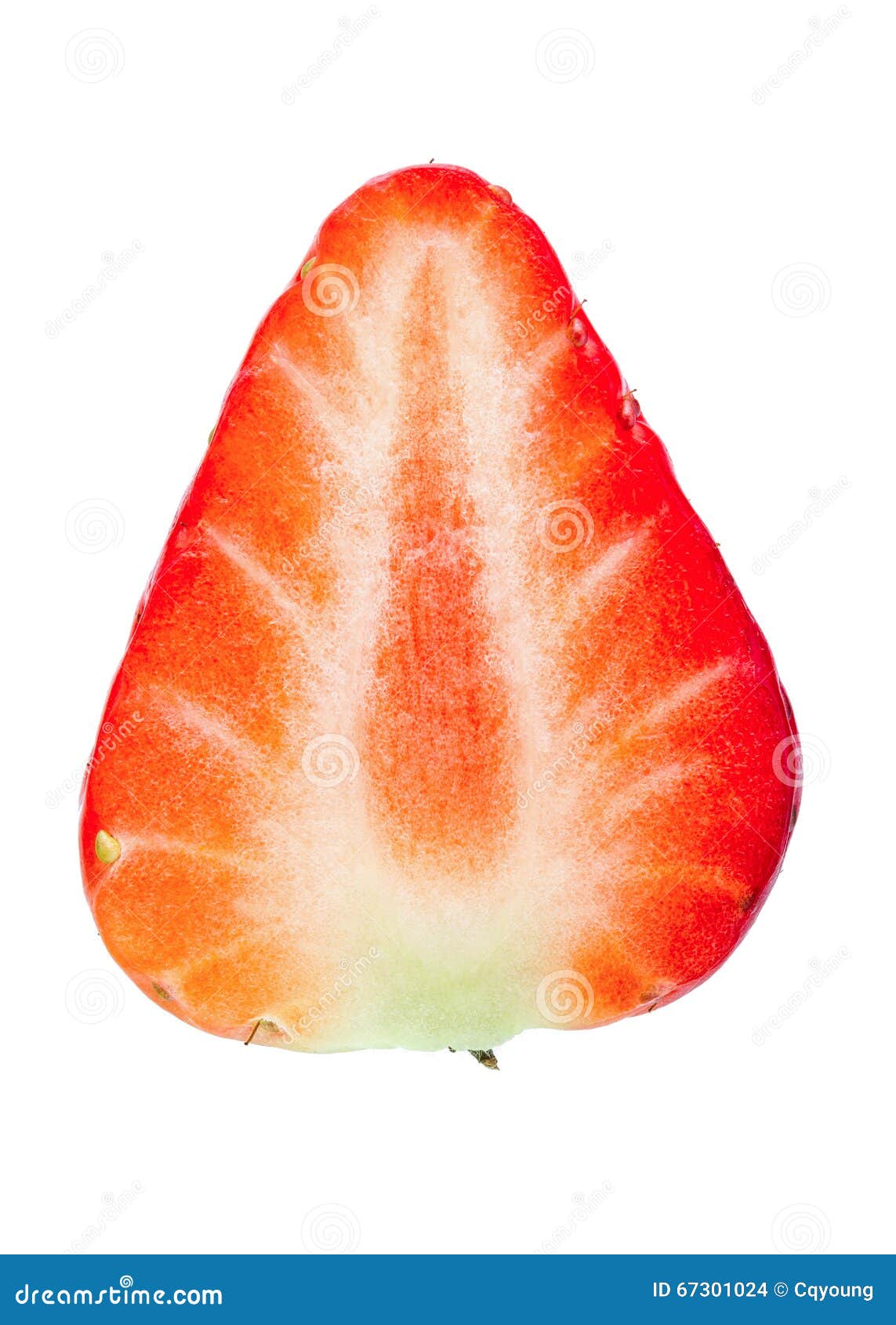 Strawberry stock photo. Image of clip, path, strawberry - 67301024
