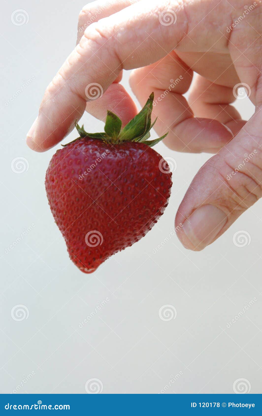 Strawberry and hand stock photo. Image of strawberry, finger - 120178