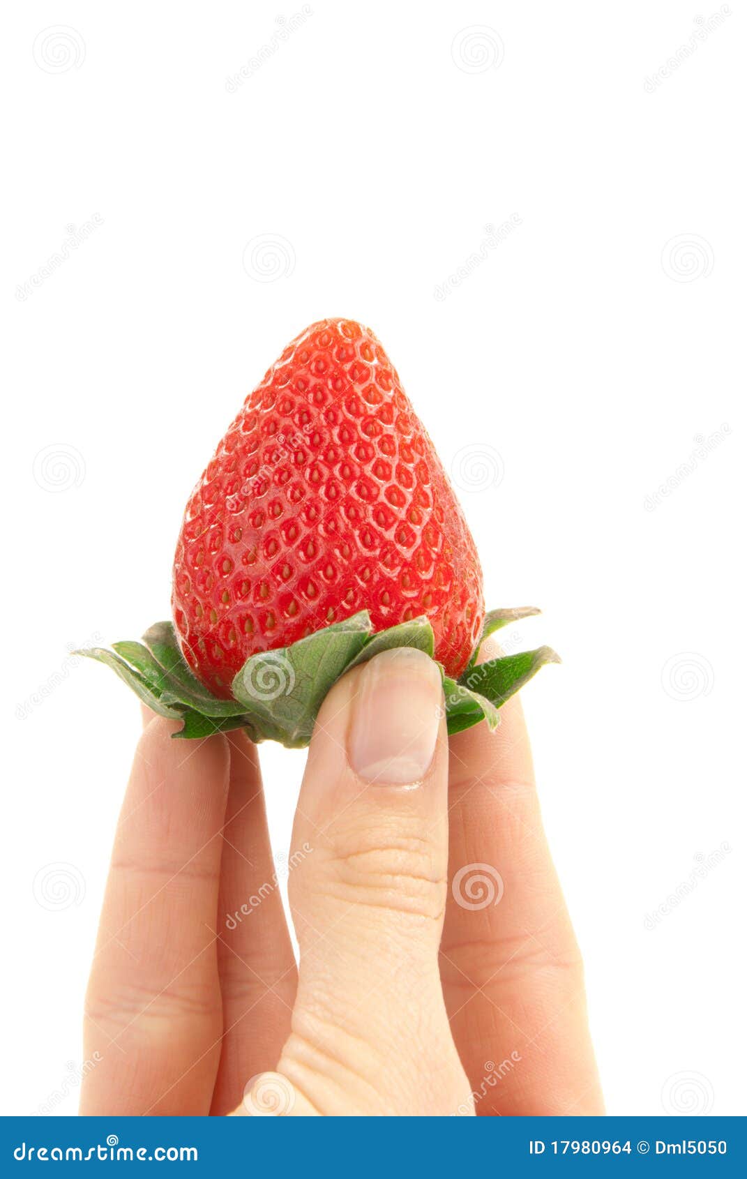 Strawberry in hand stock photo. Image of feeding, freshness - 17980964
