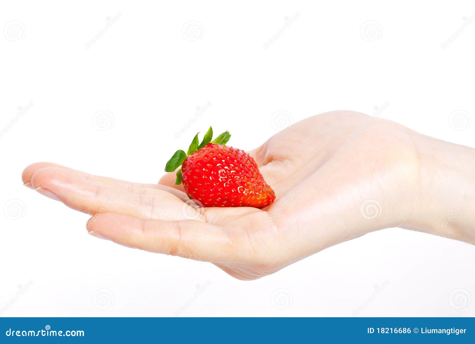 Strawberry in hand stock photo. Image of natural, attract - 18216686
