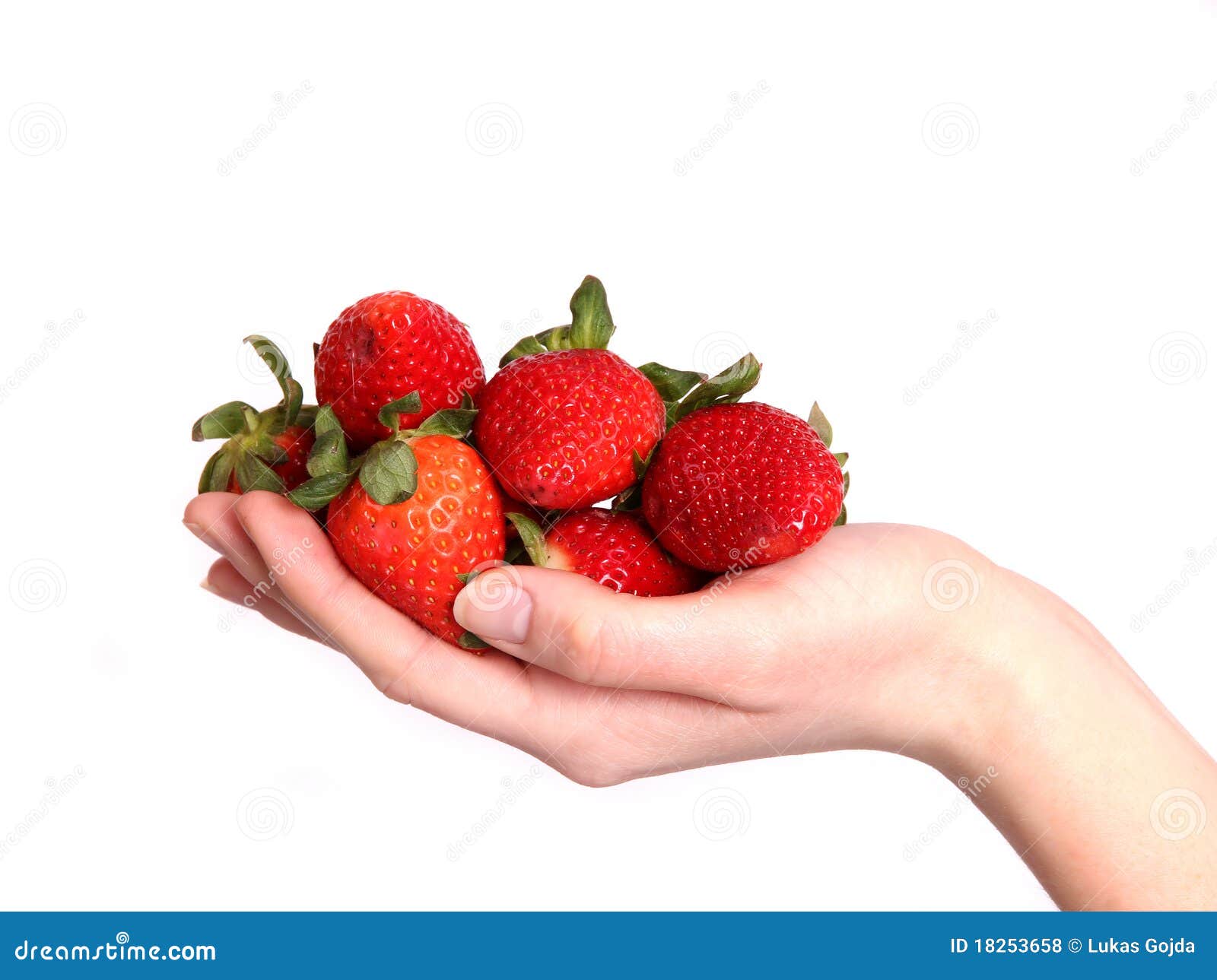 Strawberry in hand stock photo. Image of dessert, sauce - 18253658