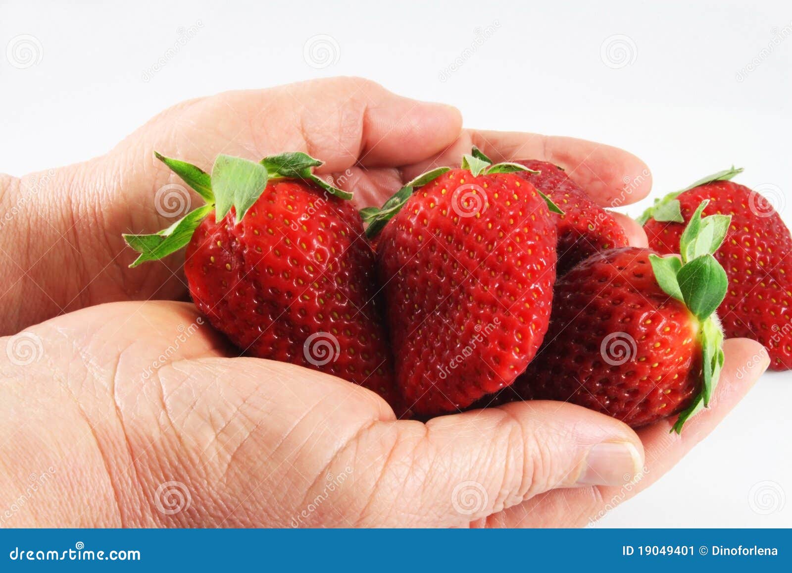 Strawberry in hand stock image. Image of care, fruits - 19049401