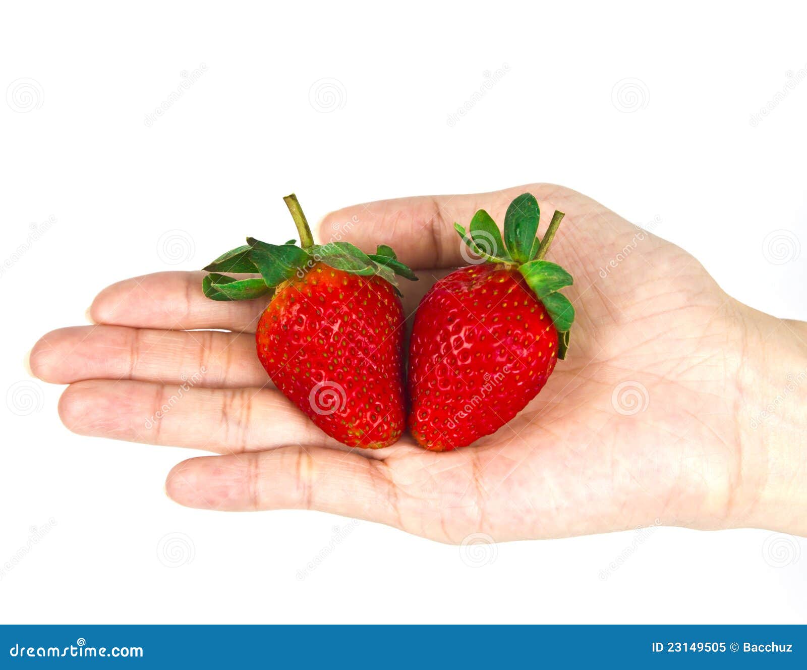 Strawberry in hand stock image. Image of ripe, fresh - 23149505