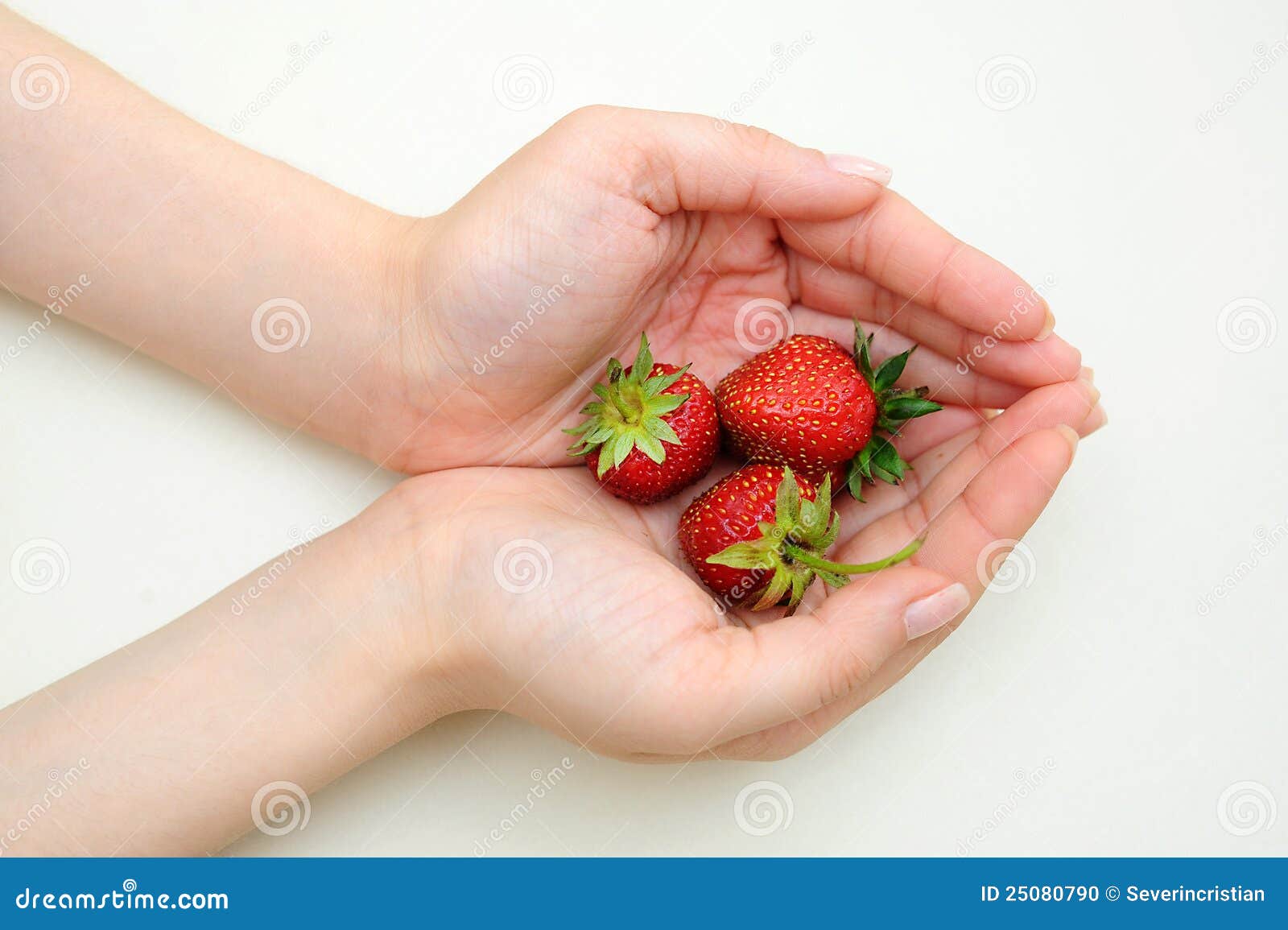 Strawberry in hand stock photo. Image of sweet, strawberry - 25080790