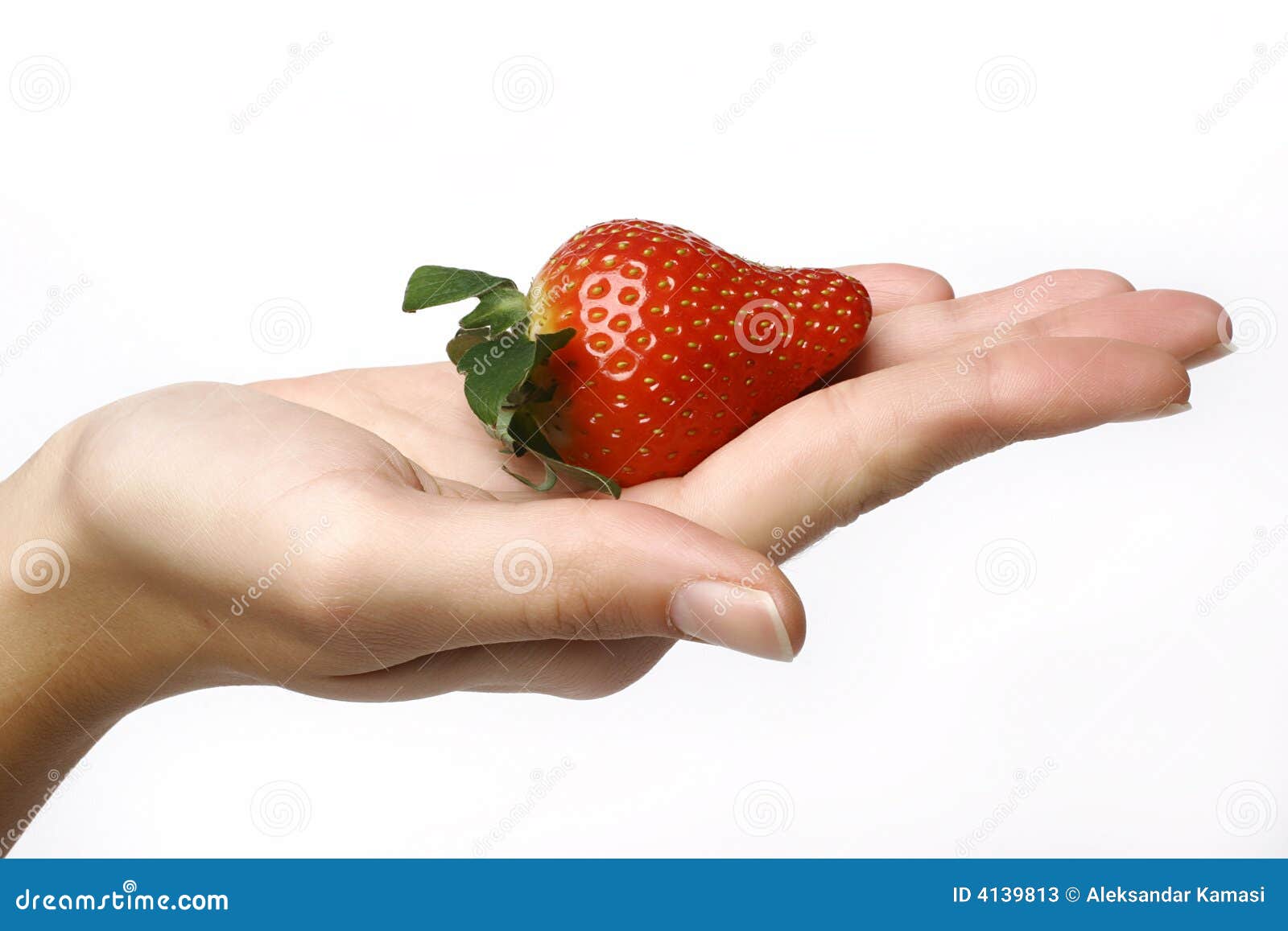 Strawberry in hand stock image. Image of object, fresh - 4139813