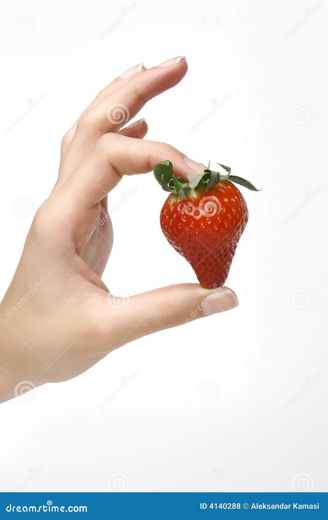 Strawberry in hand stock photo. Image of health, juicy - 4140288
