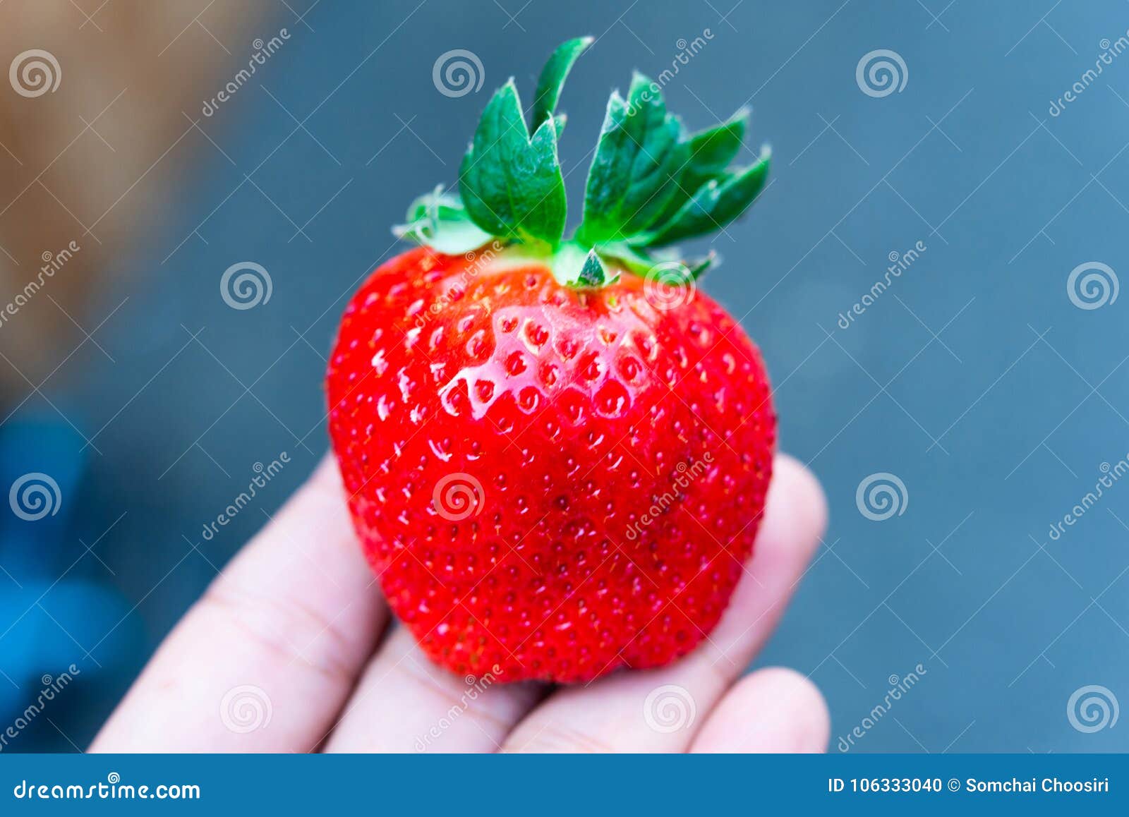 Strawberry in hand. stock photo. Image of fruit, beautiful - 106333040