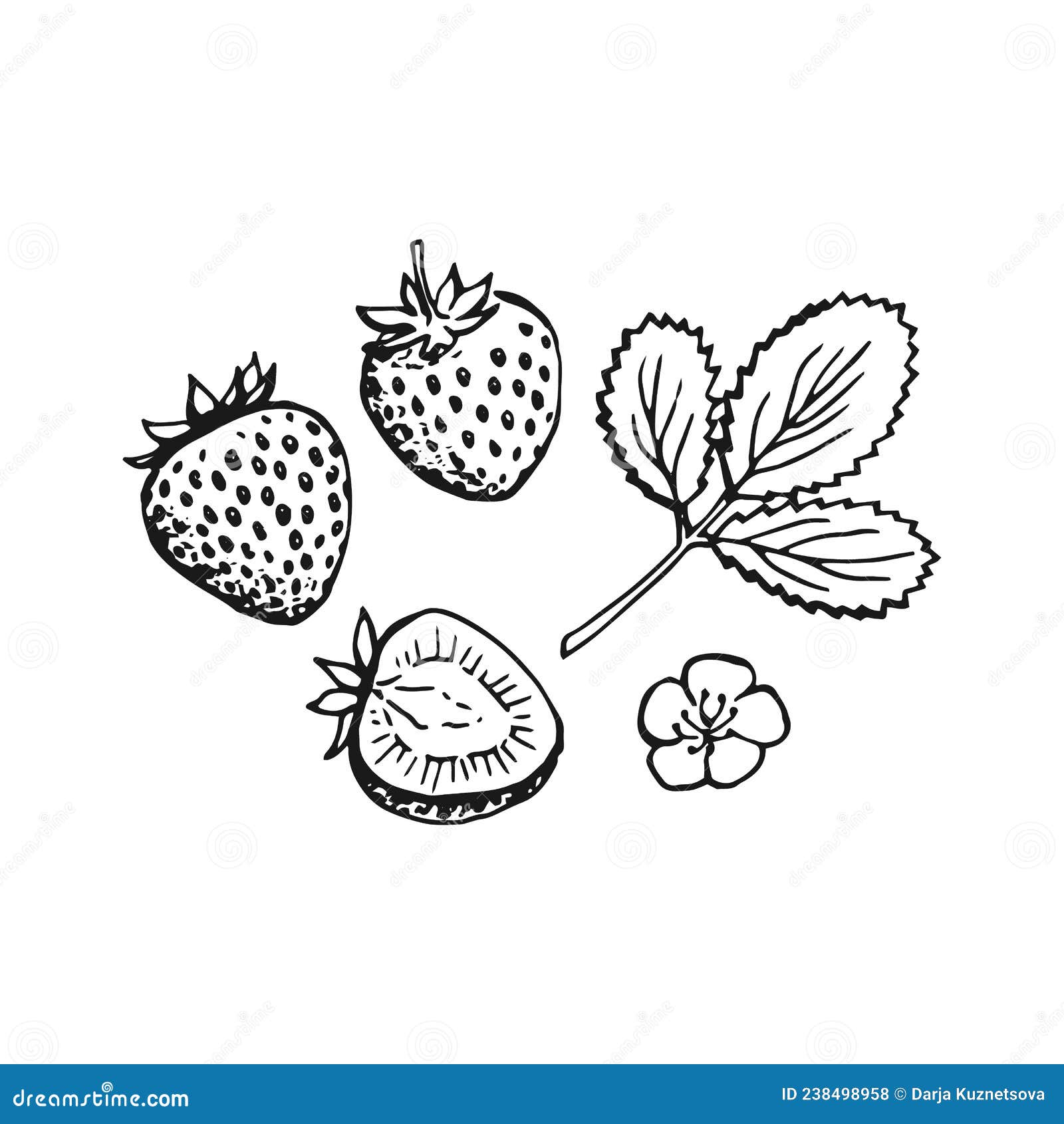 Strawberry. Hand Drawn Illustration Converted To Vector | CartoonDealer ...
