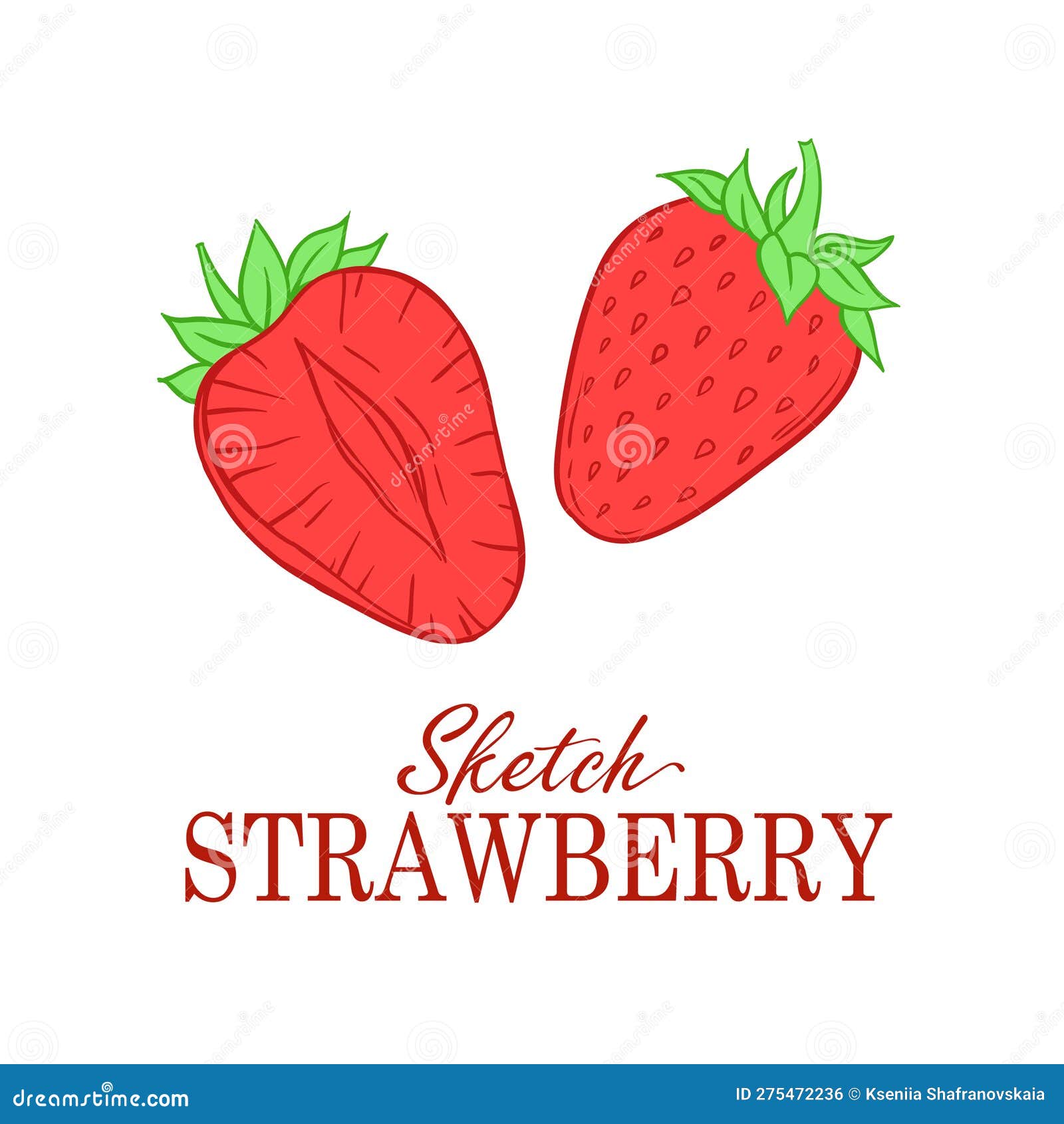 Strawberry, Hand Drawn Sketch Vector Illustration Stock Vector ...