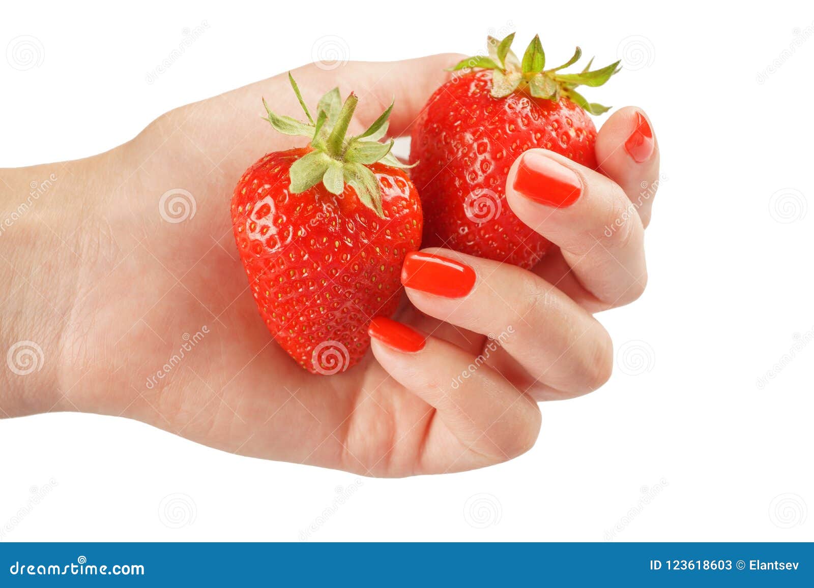 Strawberry Hands Isolated White Background Stock Images - Download 455 ...