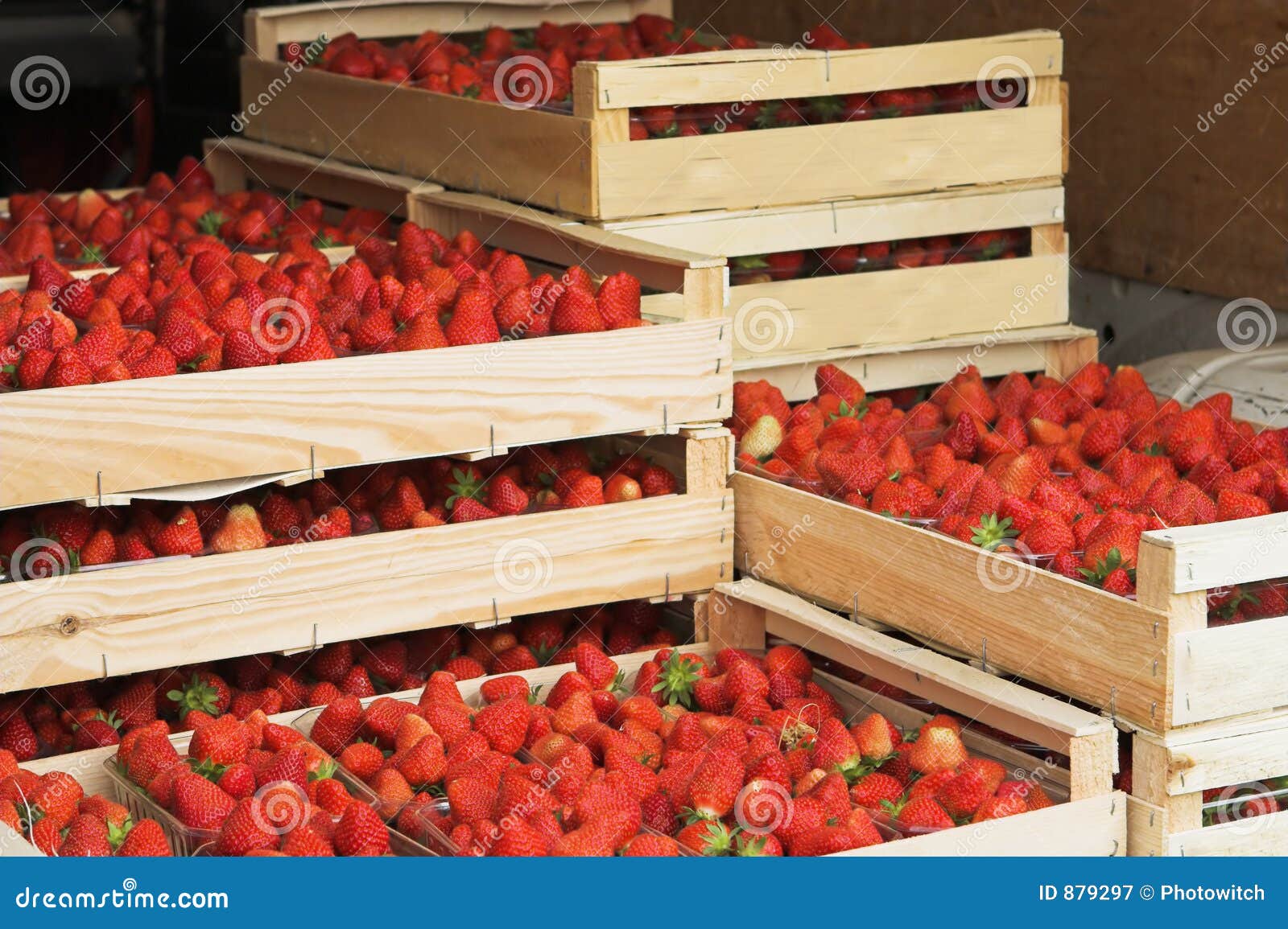 Strawberry harvest stock image. Image of berry, ripe, produce - 879297