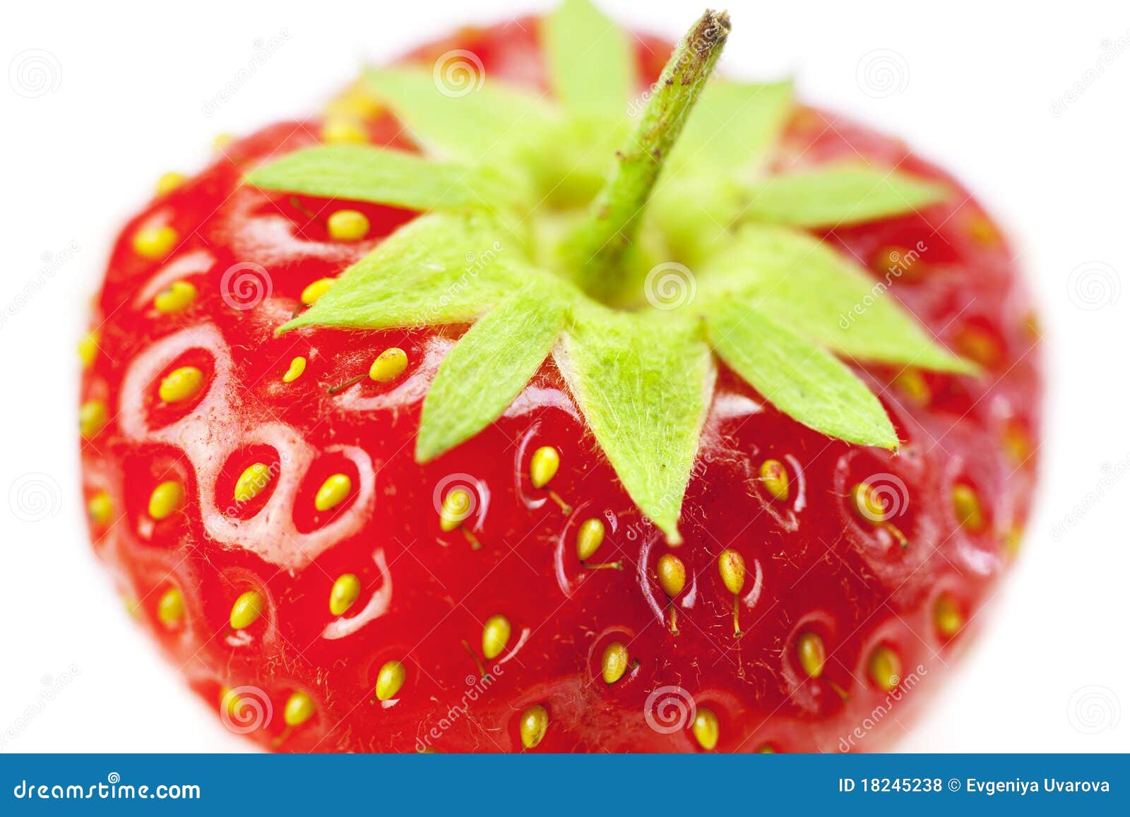 Strawberry Isolated on White Stock Photo - Image of fruit, seed: 18245238