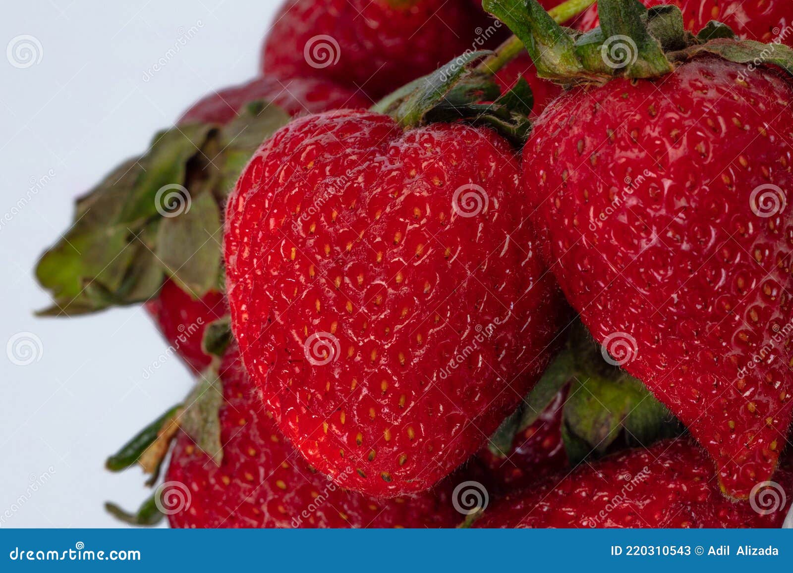 Strawberry Isolated. Strawberry on White Stock Image - Image of macro ...