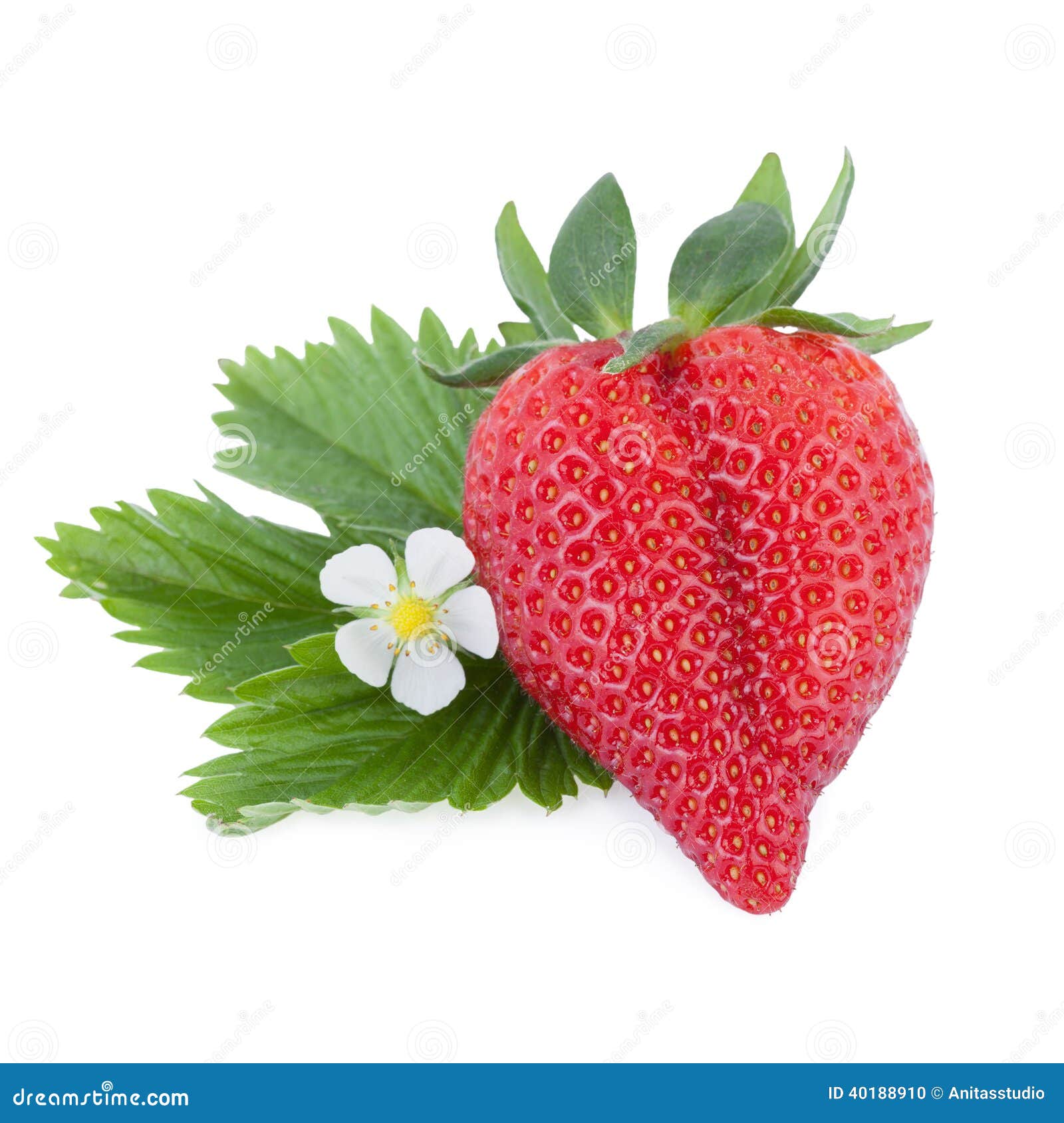 One Large Strawberry Isolated Over White Stock Photos - Free & Royalty ...