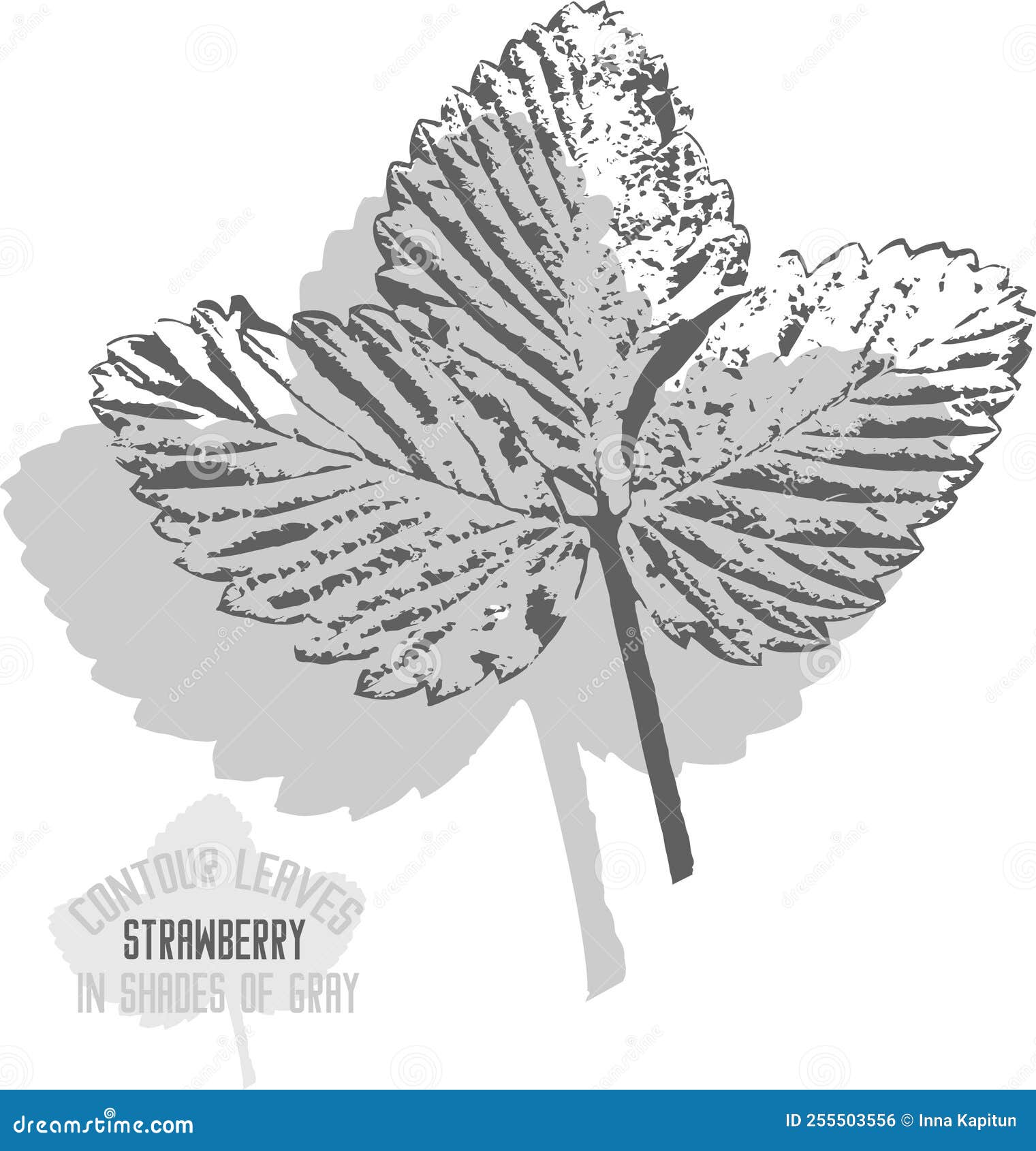 Strawberry Leafs Pattern Vector Illustration Stock Vector ...