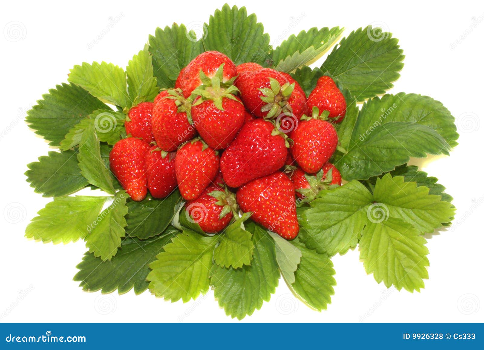 Strawberry with leaves stock photo. Image of strawberry - 9926328