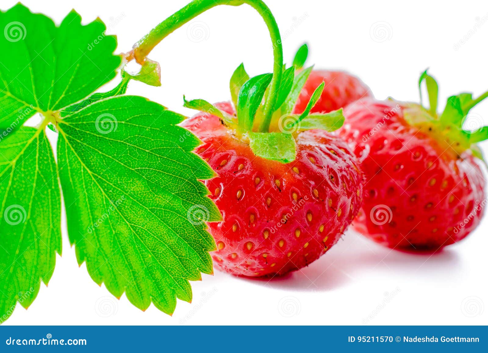 Strawberry with Leaves Isolated on White Stock Photo - Image of health ...