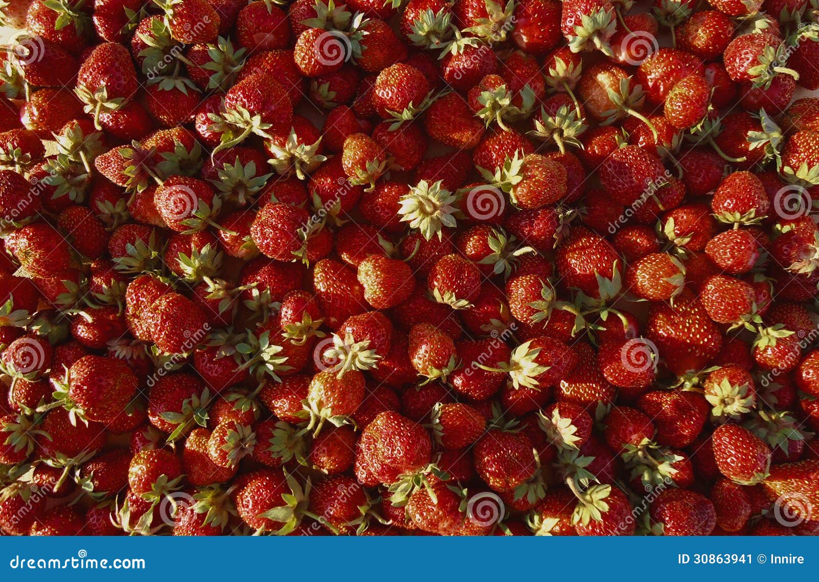 Strawberry stock image. Image of green, plant, strawberries - 30863941