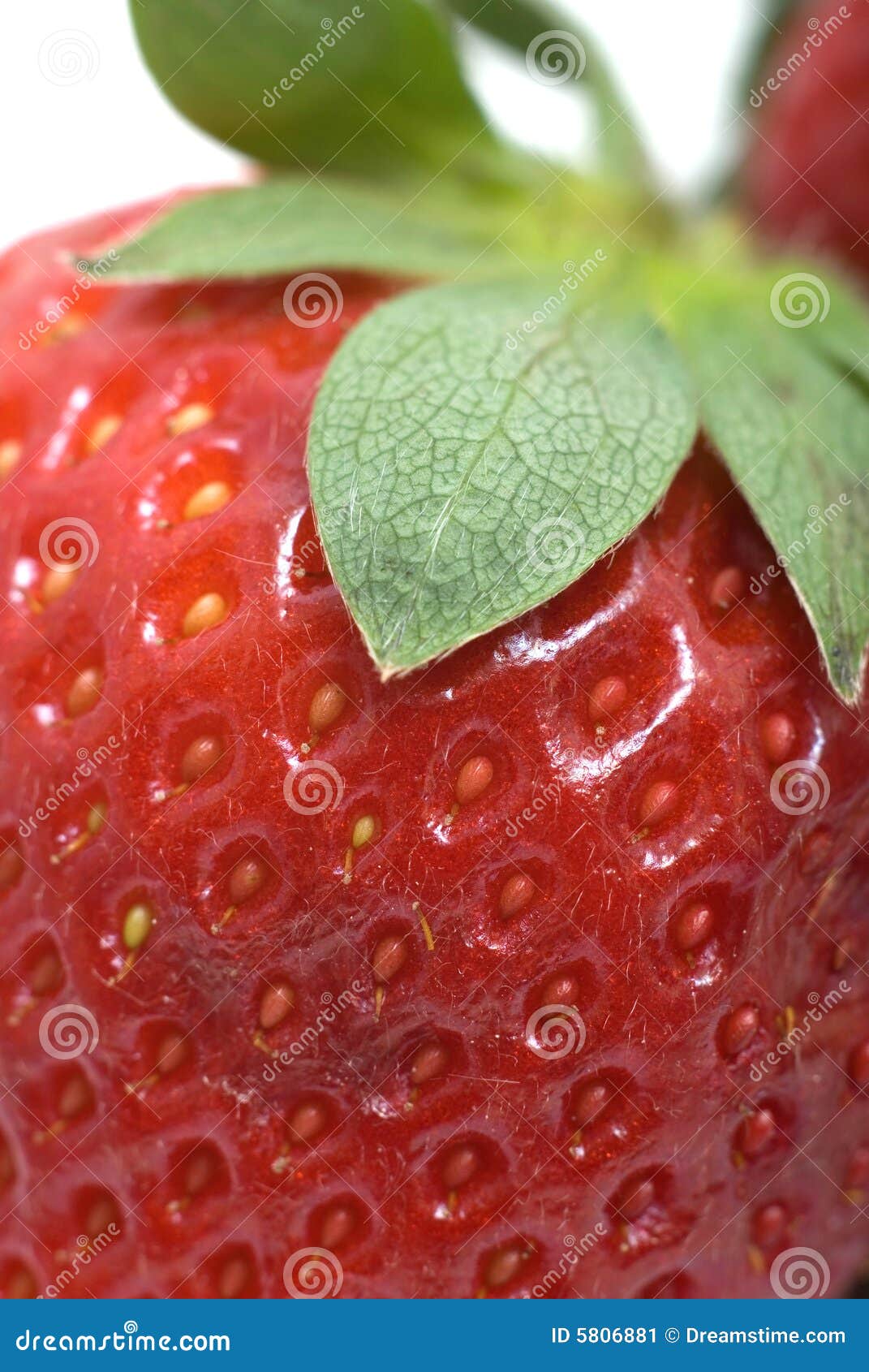 Strawberry macro stock image. Image of breakfast, isolated - 5806881