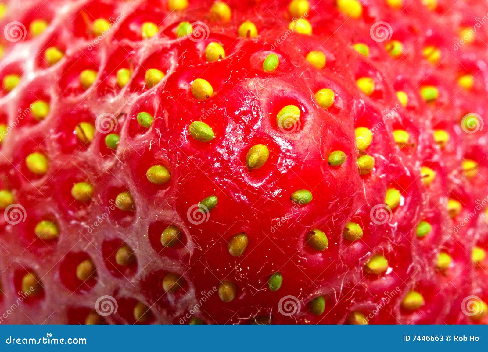 Strawberry Macro stock image. Image of strawberry, hair - 7446663