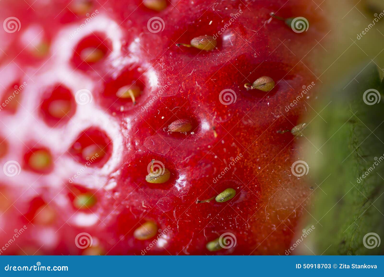 Strawberry macro stock image. Image of food, seeds, fruit - 50918703