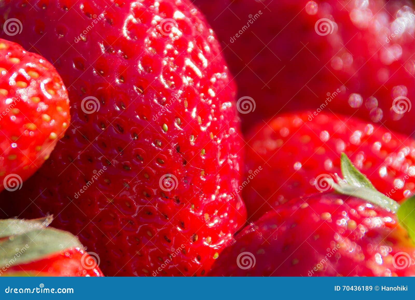 Strawberry Macro, Strawberries Closeup Stock Image - Image of macro ...