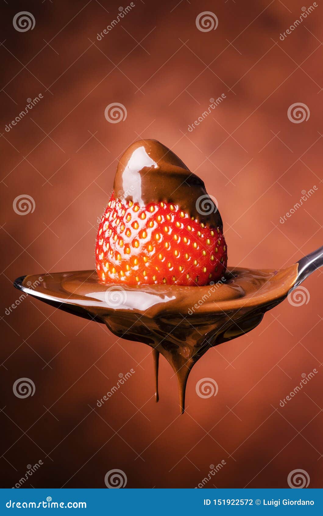 Strawberry with Melted Chocolate Stock Photo - Image of ingredient ...