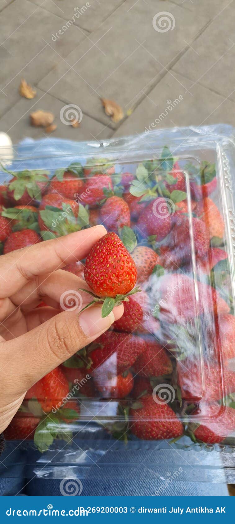 Strawberry pack outdoor stock image. Image of plant - 269200003