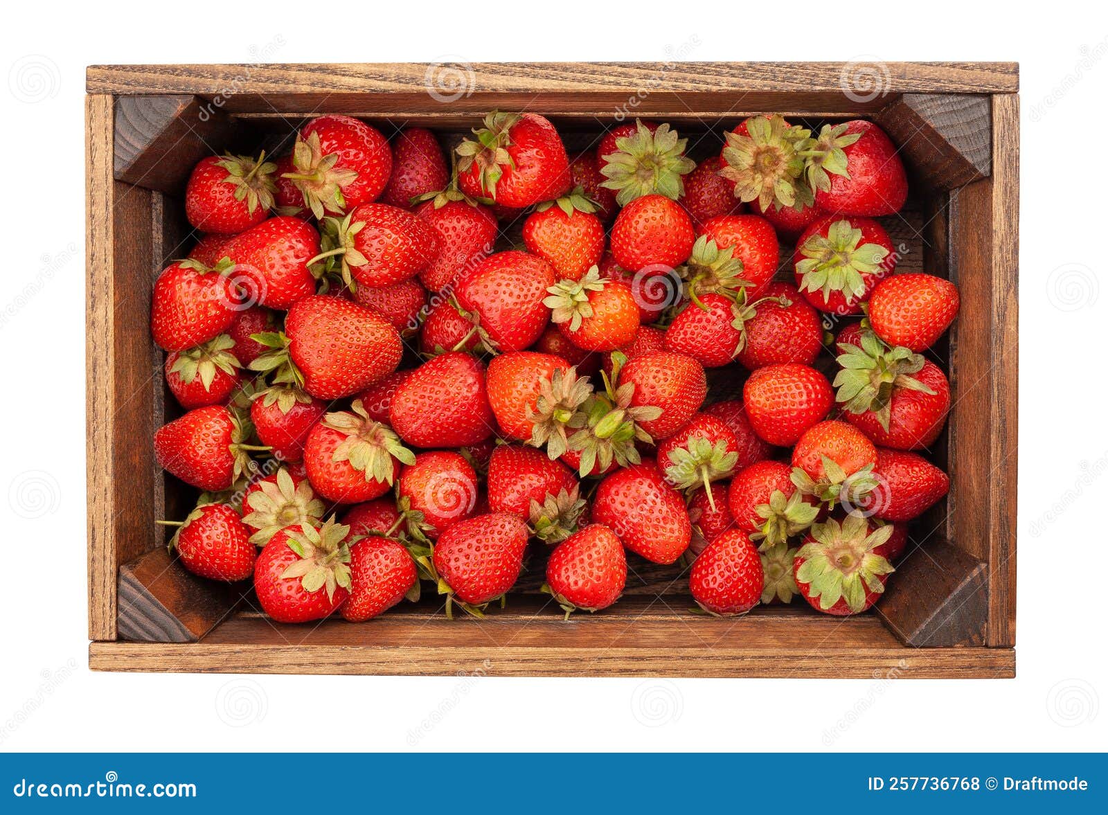 Strawberry path isolated stock photo. Image of studio - 257736768