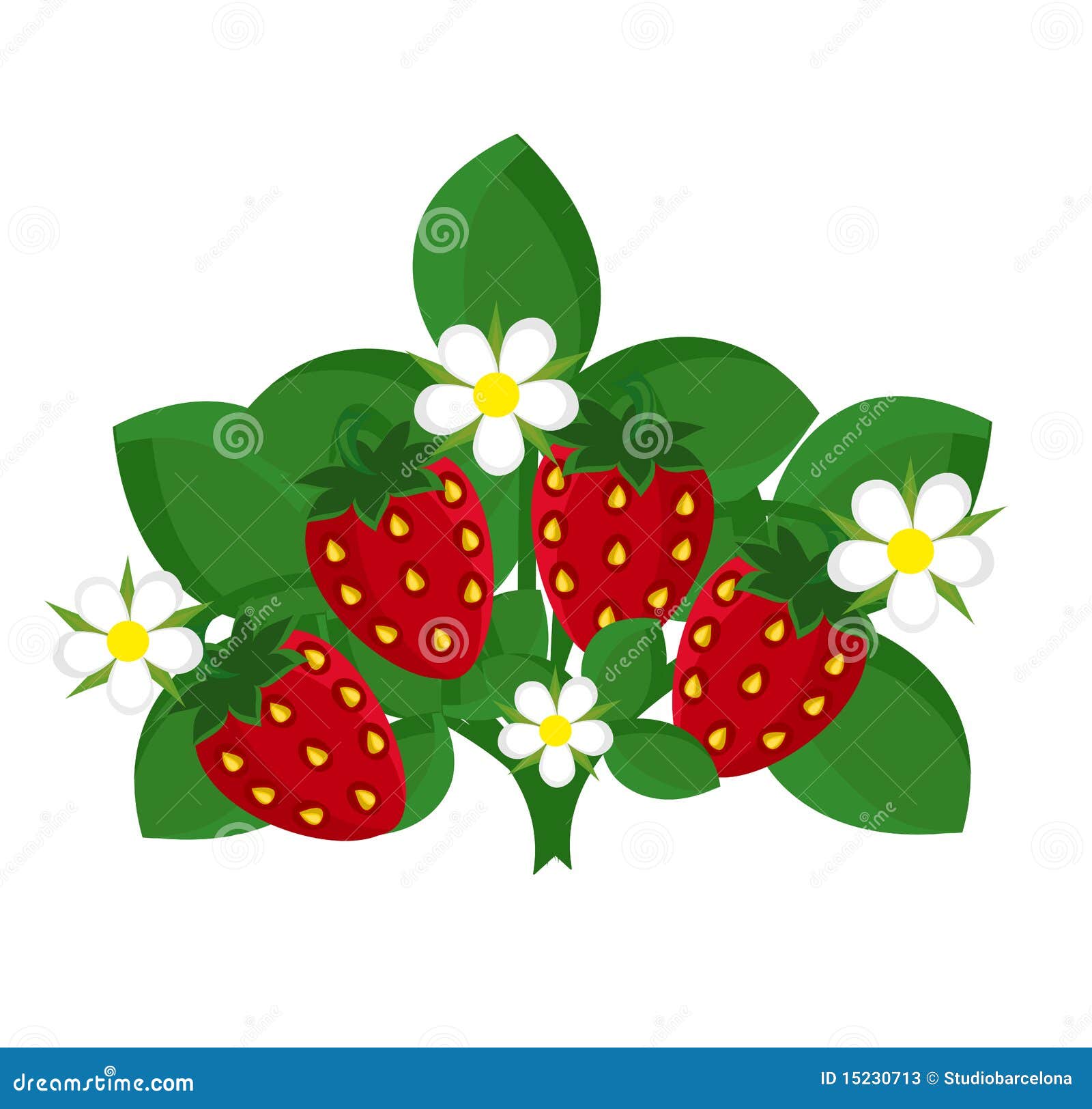 Strawberry plant stock vector. Illustration of leaf, nature - 15230713