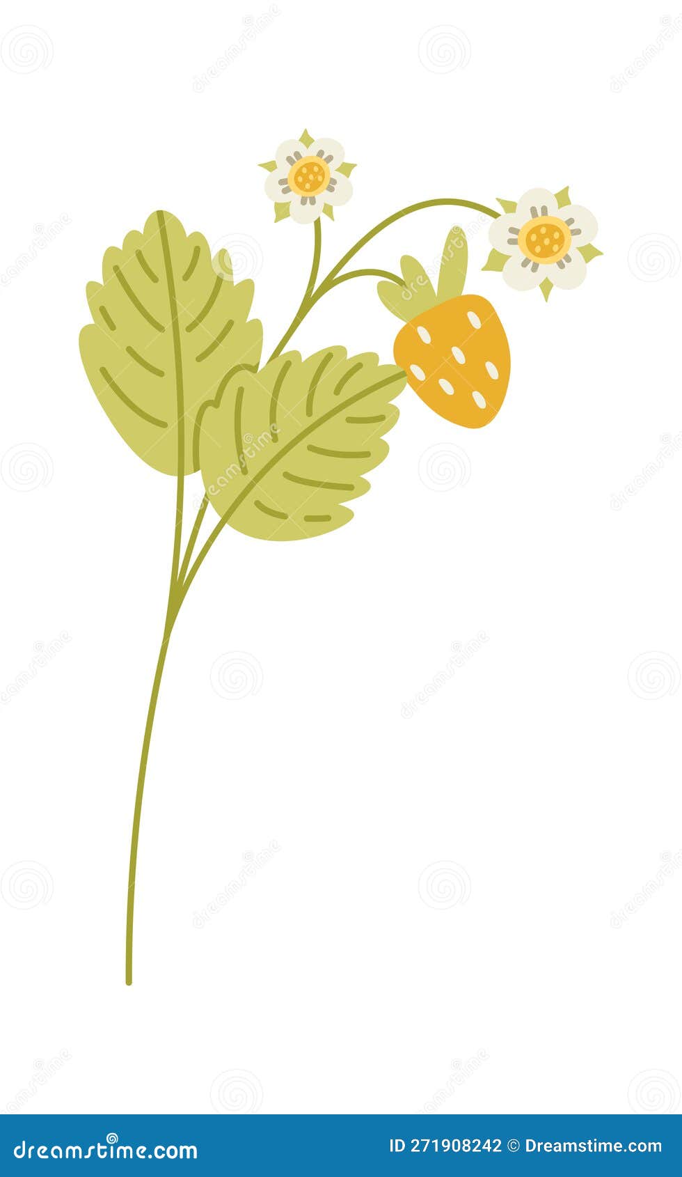 Strawberry Plant with Berries and Flowers Flat Illustration Stock ...