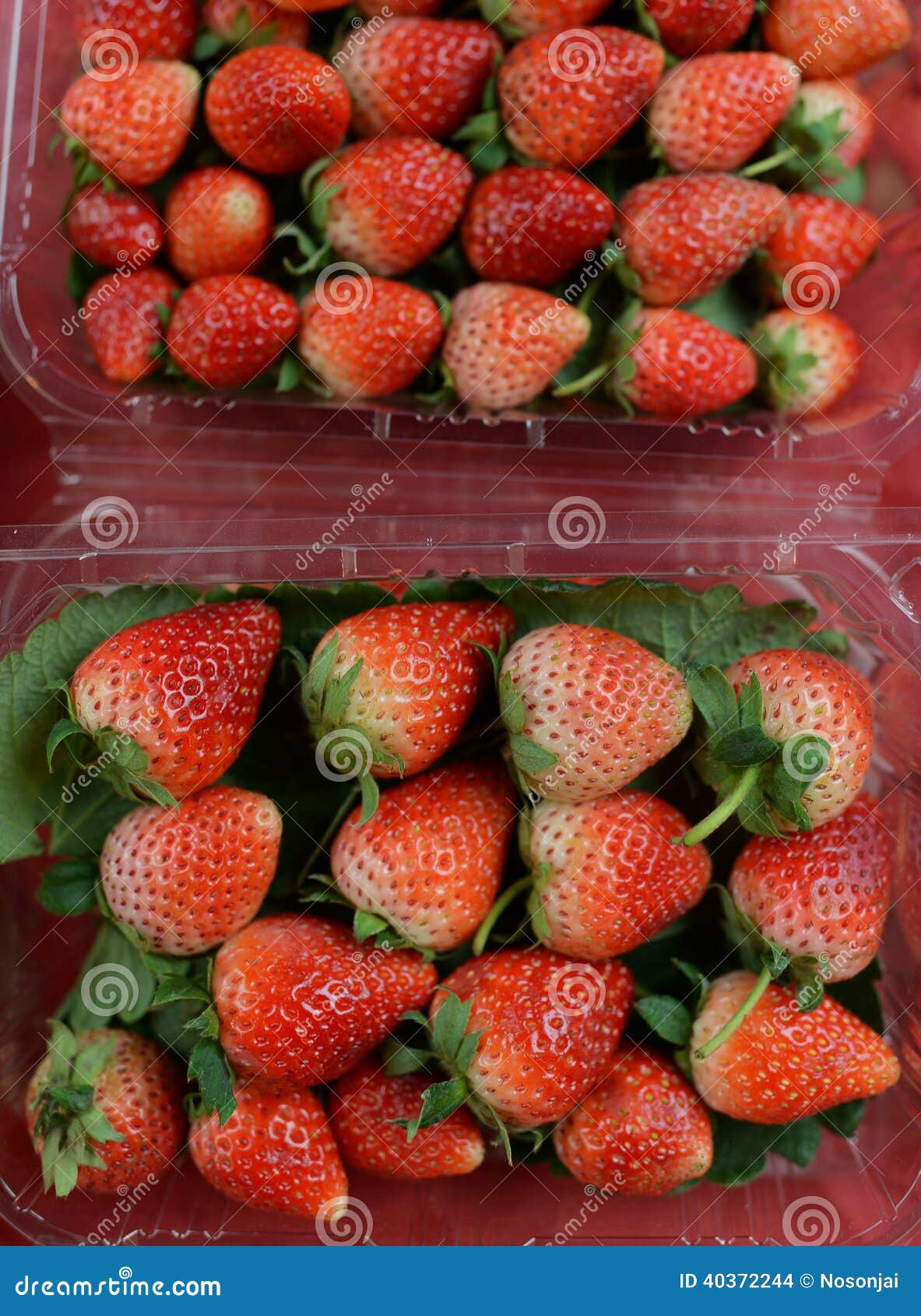 Strawberry in Plastic Package Stock Photo - Image of seeds, nutrition ...
