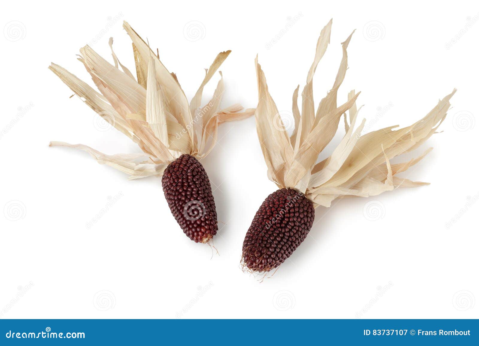 328 Strawberry Ears Stock Photos - Free & Royalty-Free Stock Photos ...